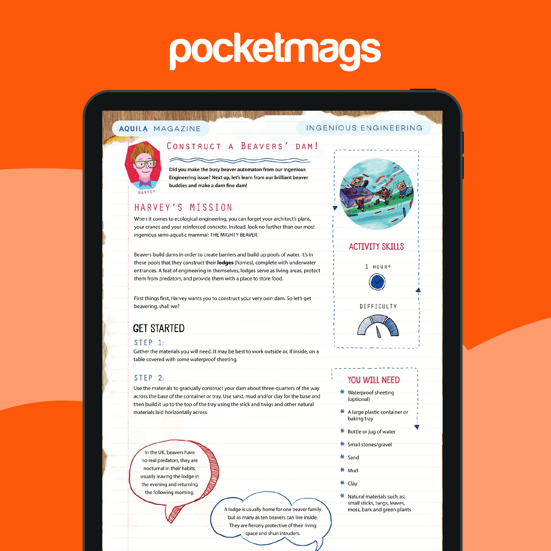 Aquila Magazine - Construct a Beavers Dam Back Issue