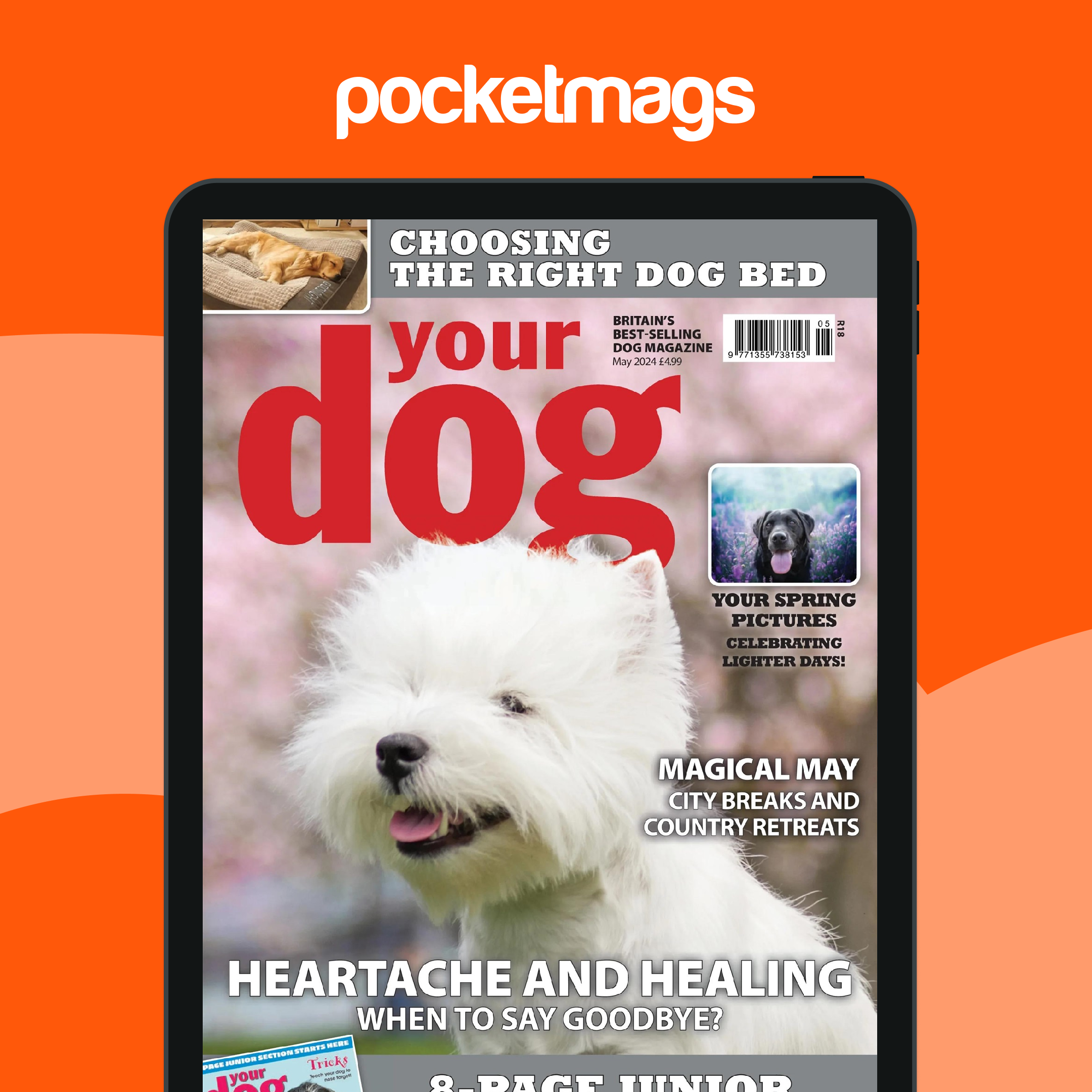 Your Dog Magazine - Your Dog Magazine May 2024 Edición anterior