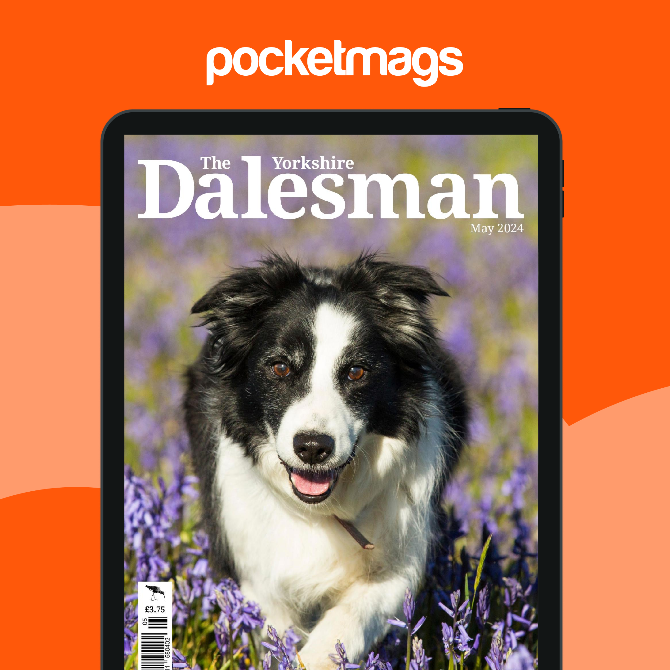 The Yorkshire Dalesman Magazine - May 2024 Back Issue