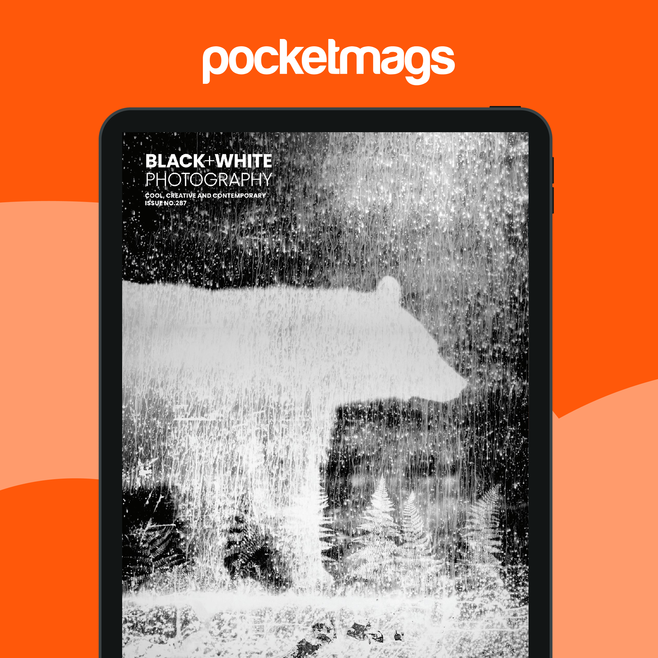 Black+White Photography Magazine - Sample Edition Special Issue