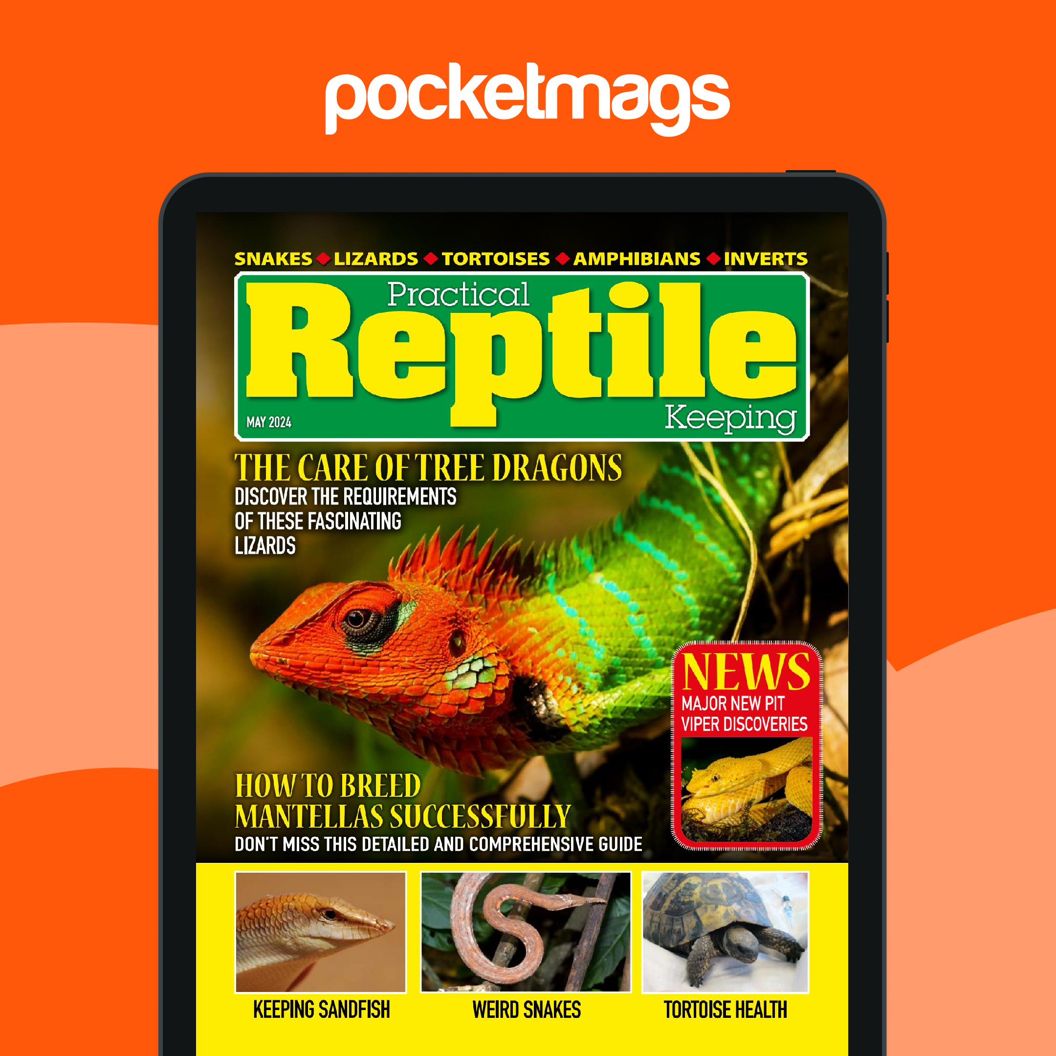 Practical Reptile Keeping Magazine - May 2024 Back Issue
