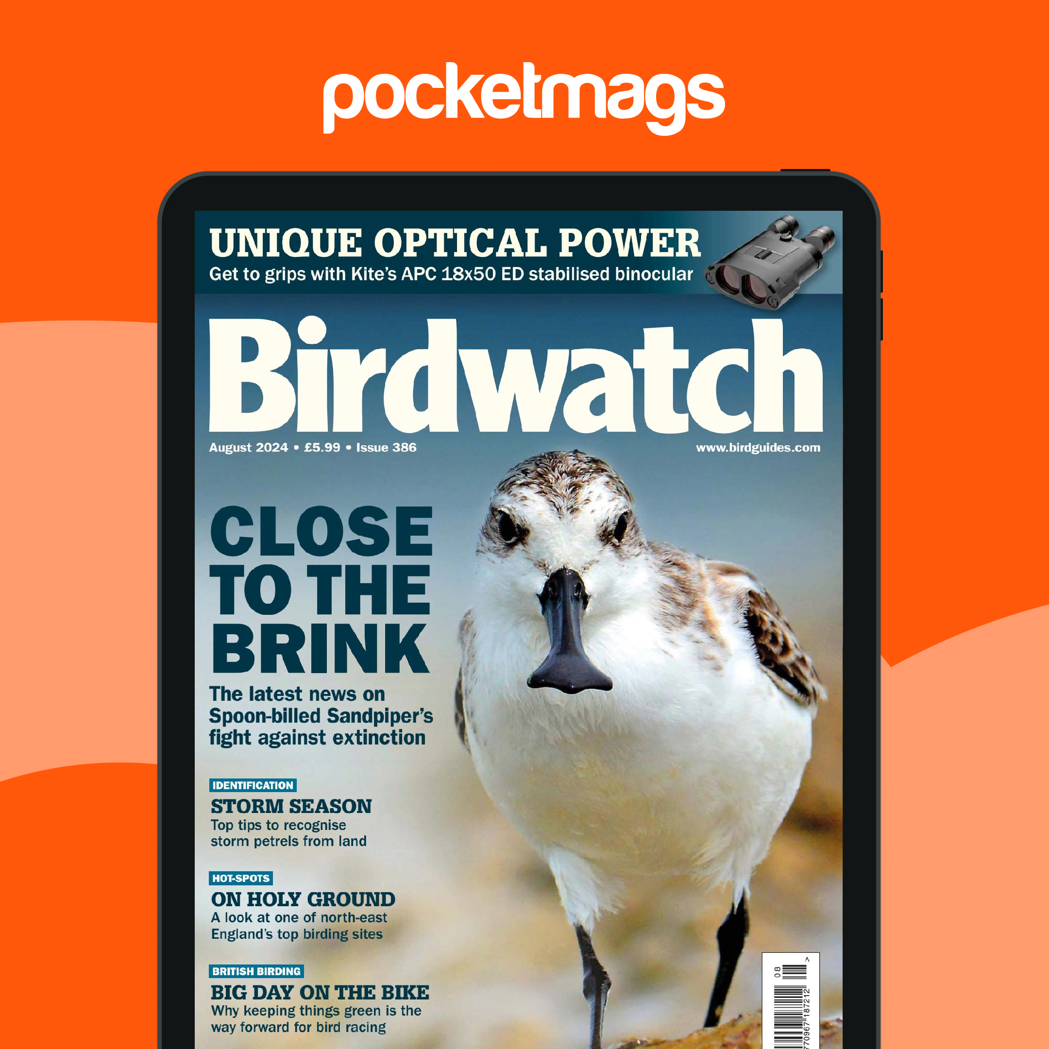 Birdwatch Magazine Subscriptions and August 2024 Issue