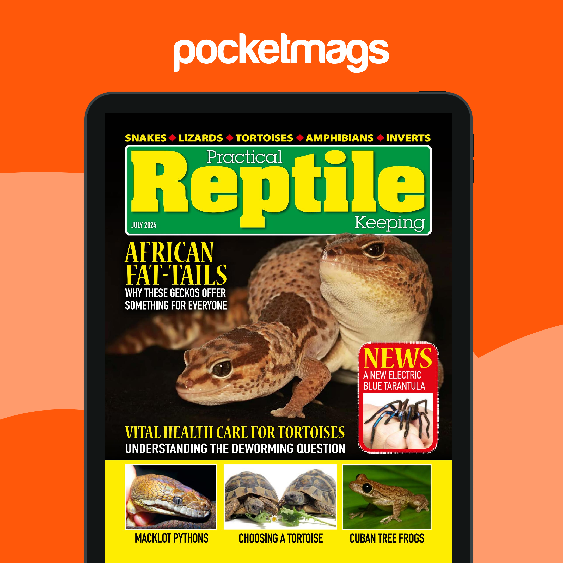 Practical Reptile Keeping Magazine Subscriptions and July 2024 Issue
