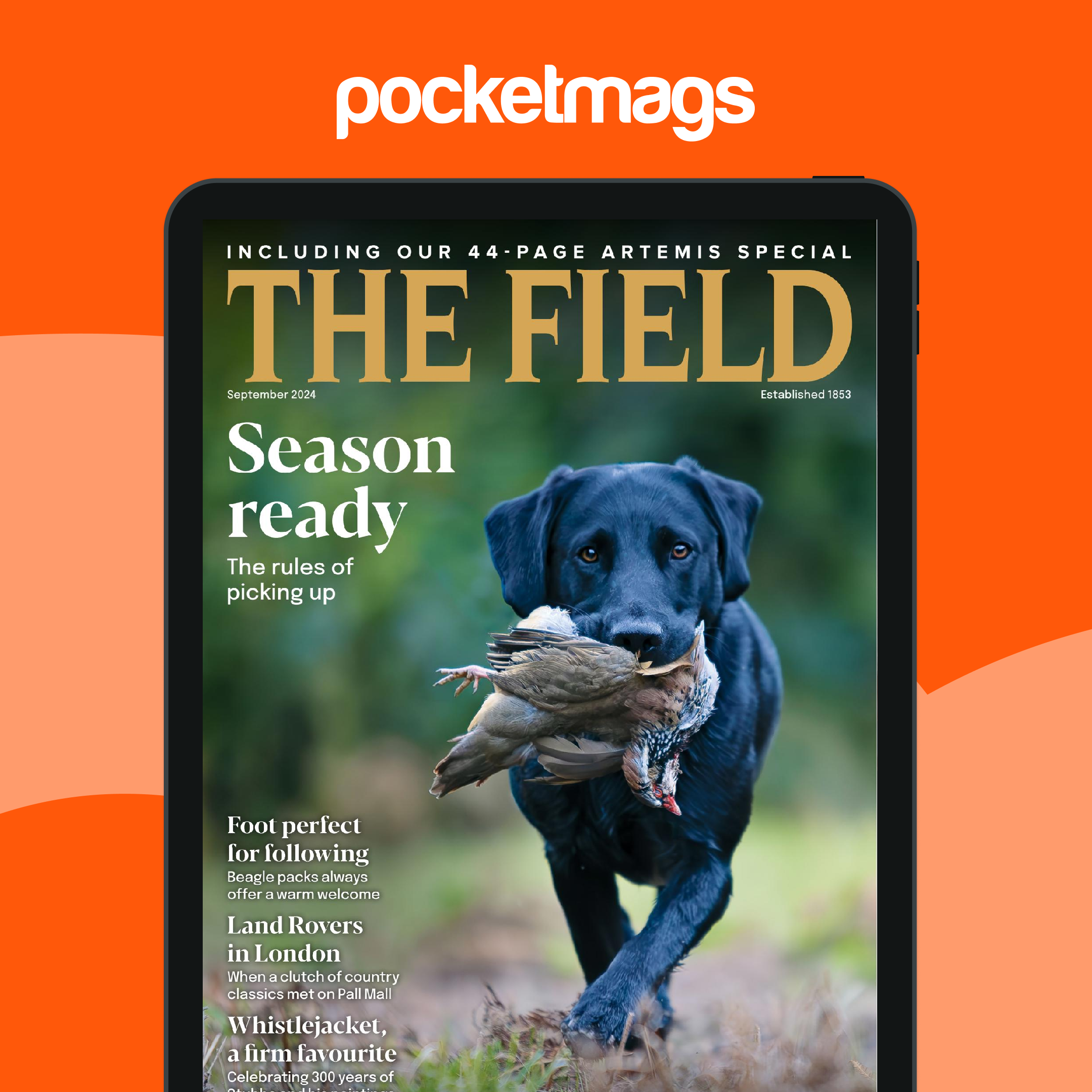 The Field Magazine - September 2024 Back Issue