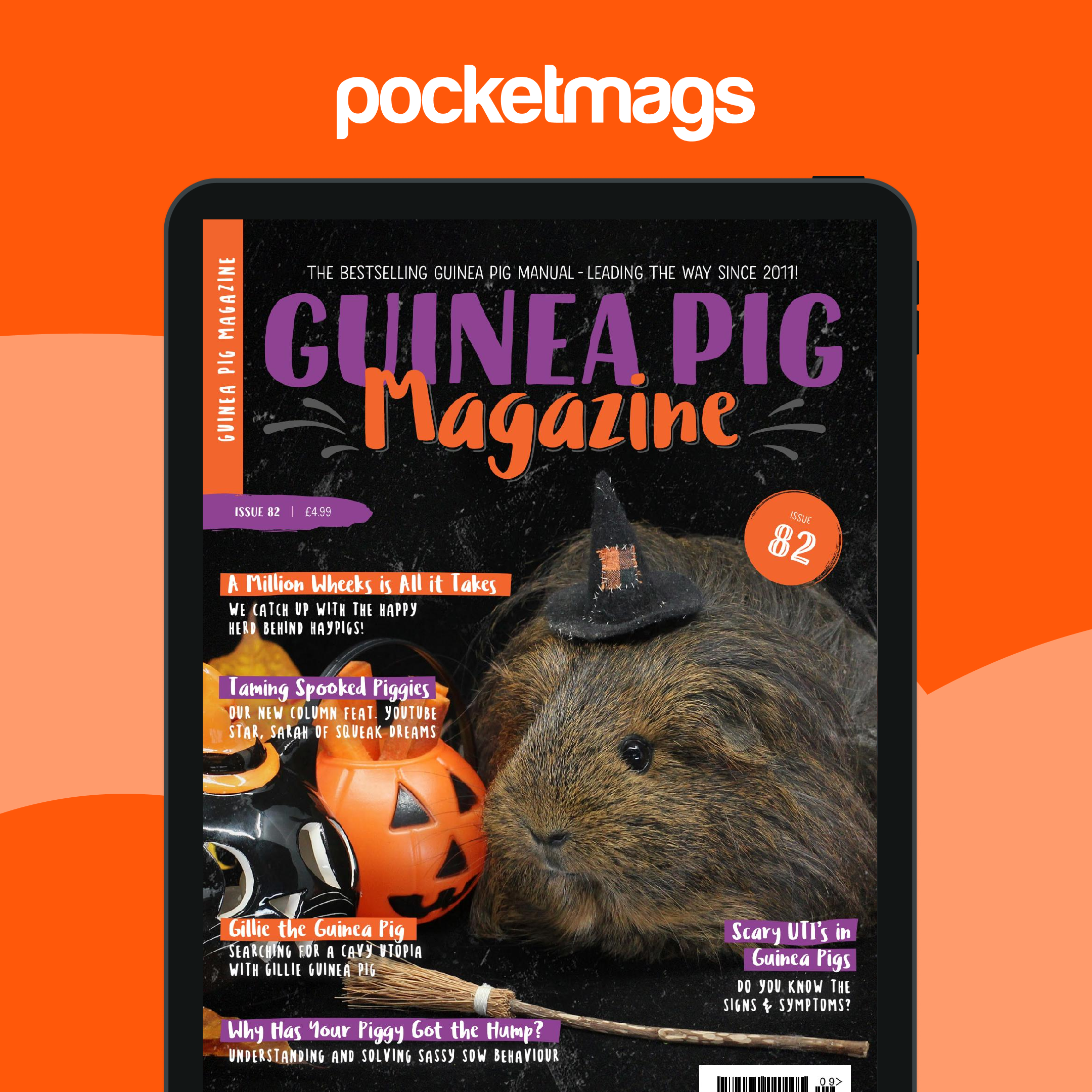 Guinea Pig Magazine - Issue 82 (Sept/Oct) Back Issue