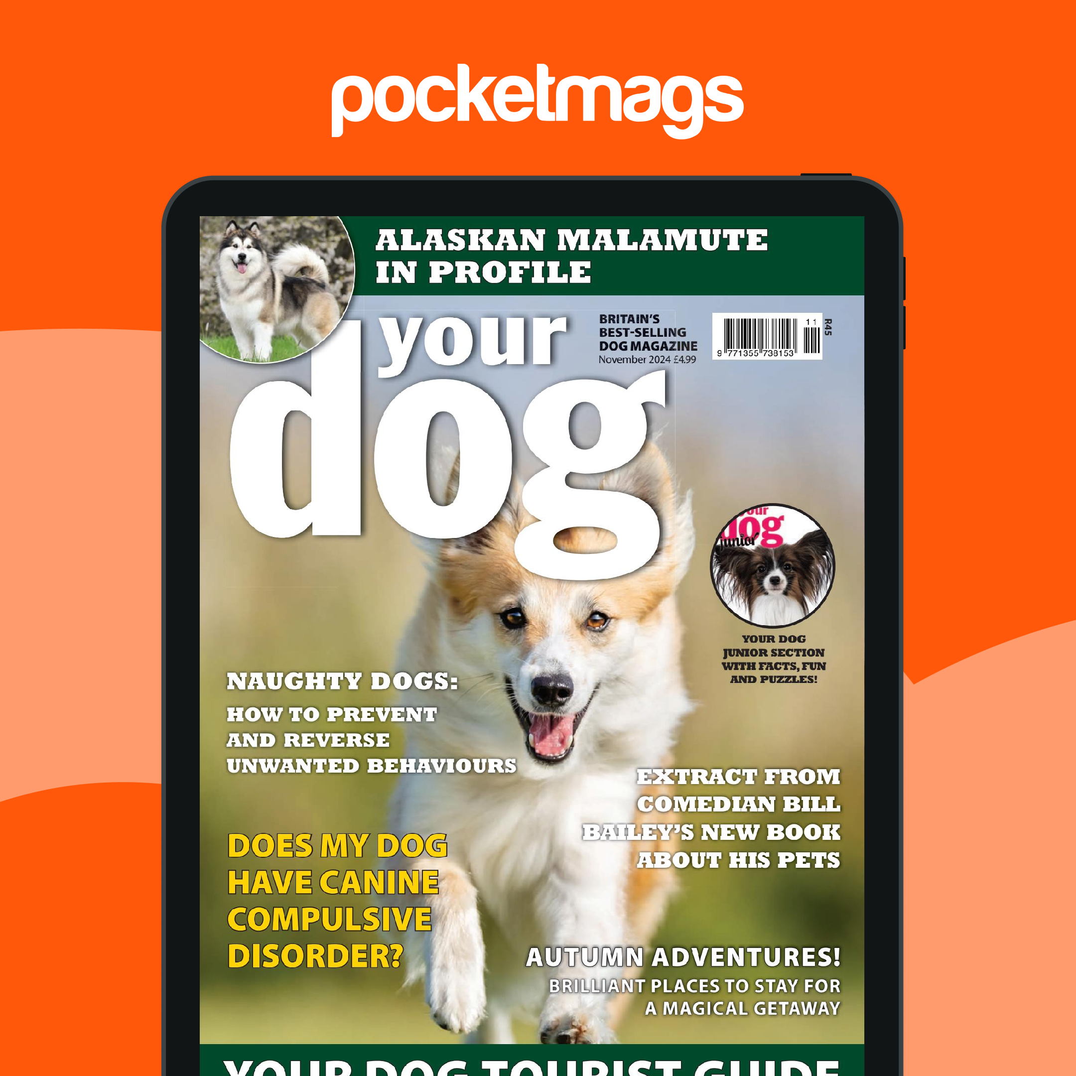 Your Dog Magazine - November 2024 Edición anterior