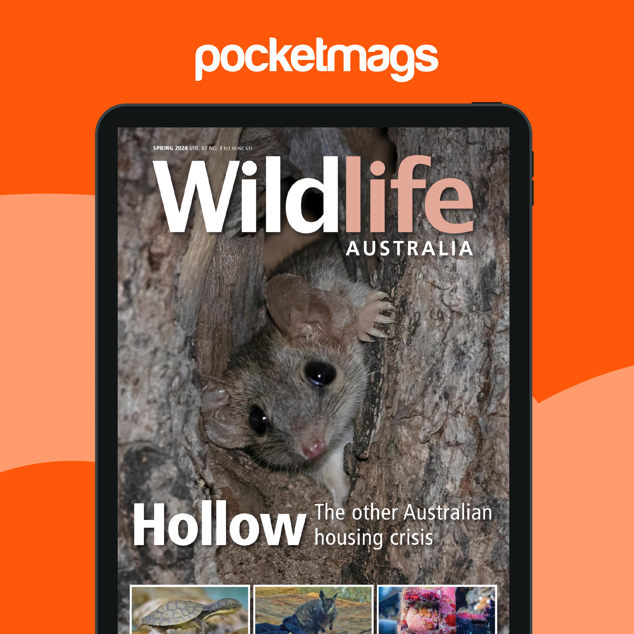 Wildlife Australia Magazine - Spring 2024 Edición anterior