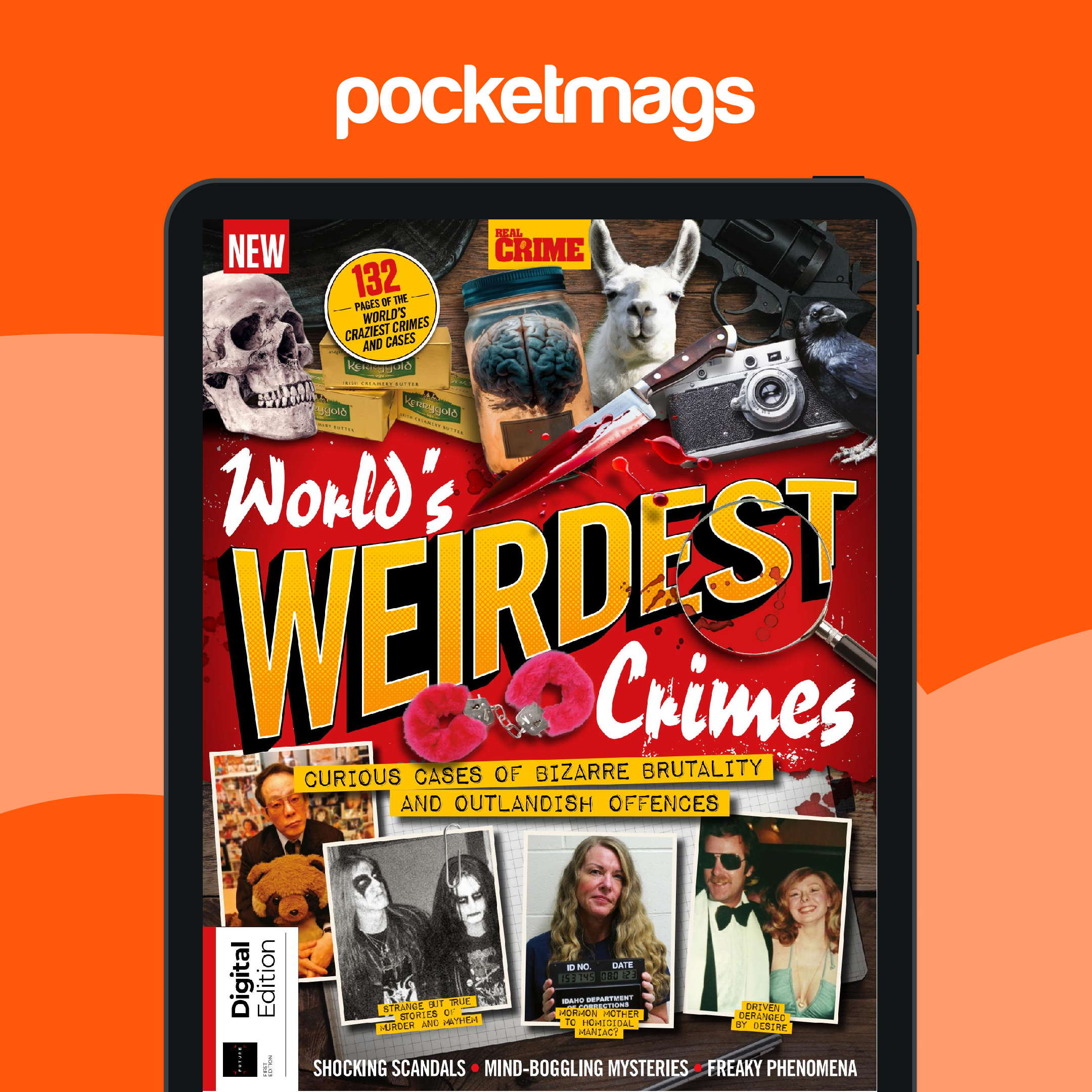 Real Crime Bookazine - World's Weirdest Crimes First Edition Back Issue