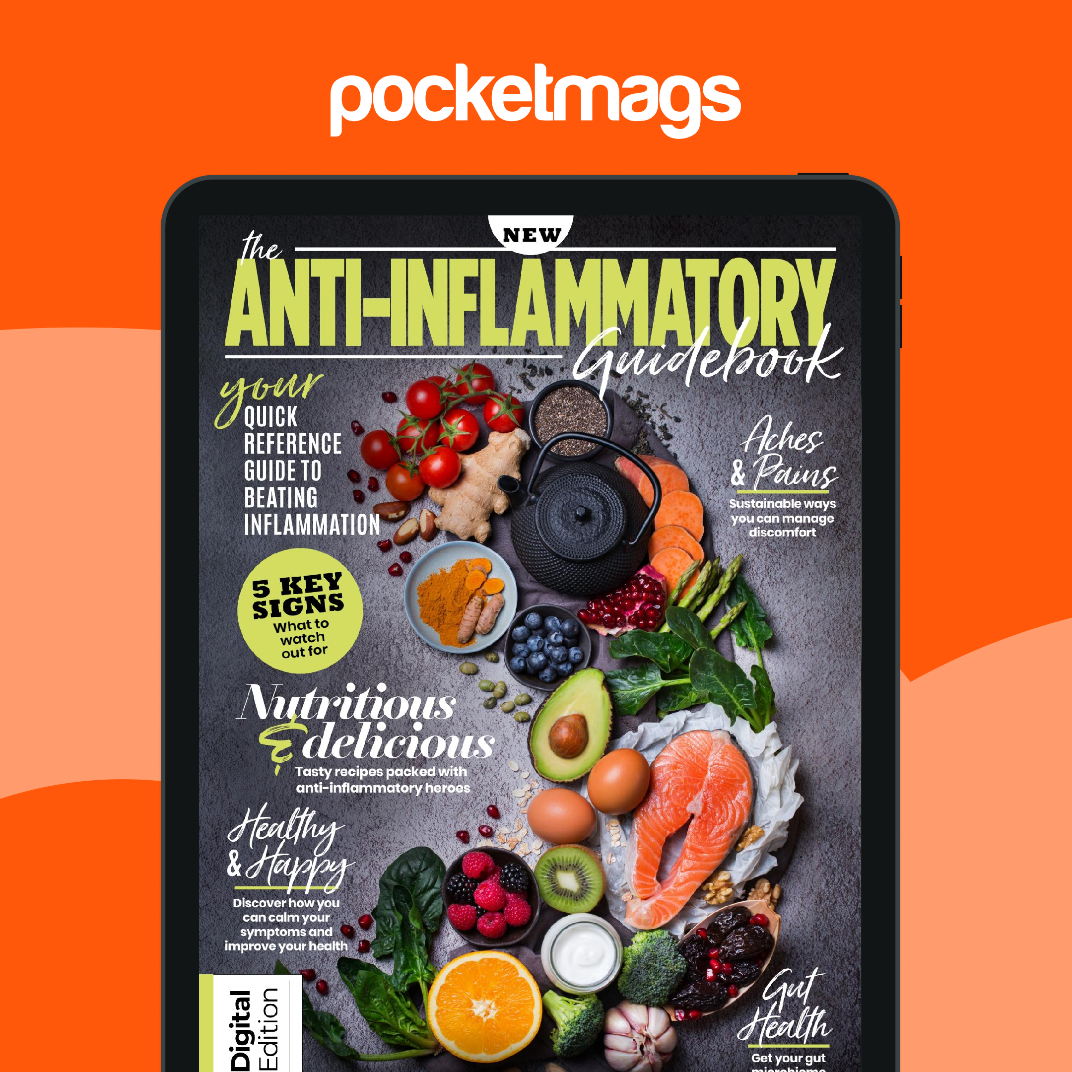 Lifestyle Bookazine - The Anti-Inflammatory Guidebook Third Edition Edición anterior