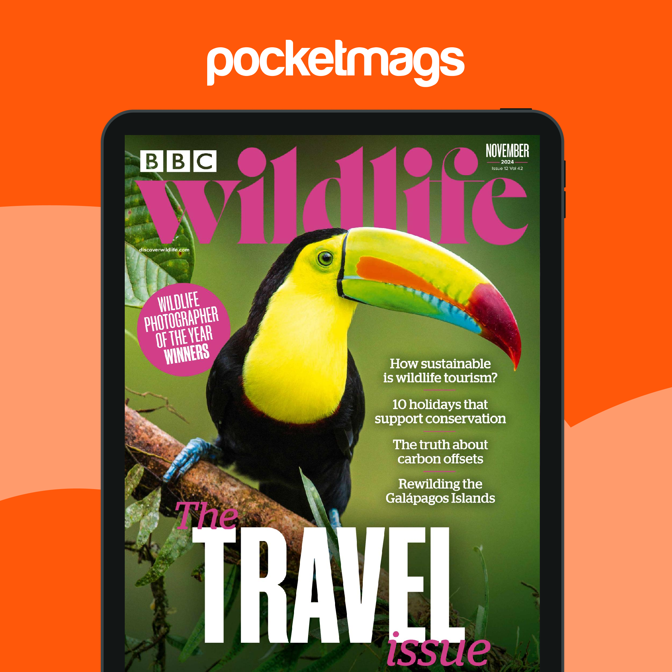 BBC Wildlife Magazine Subscriptions and November 2024 Issue