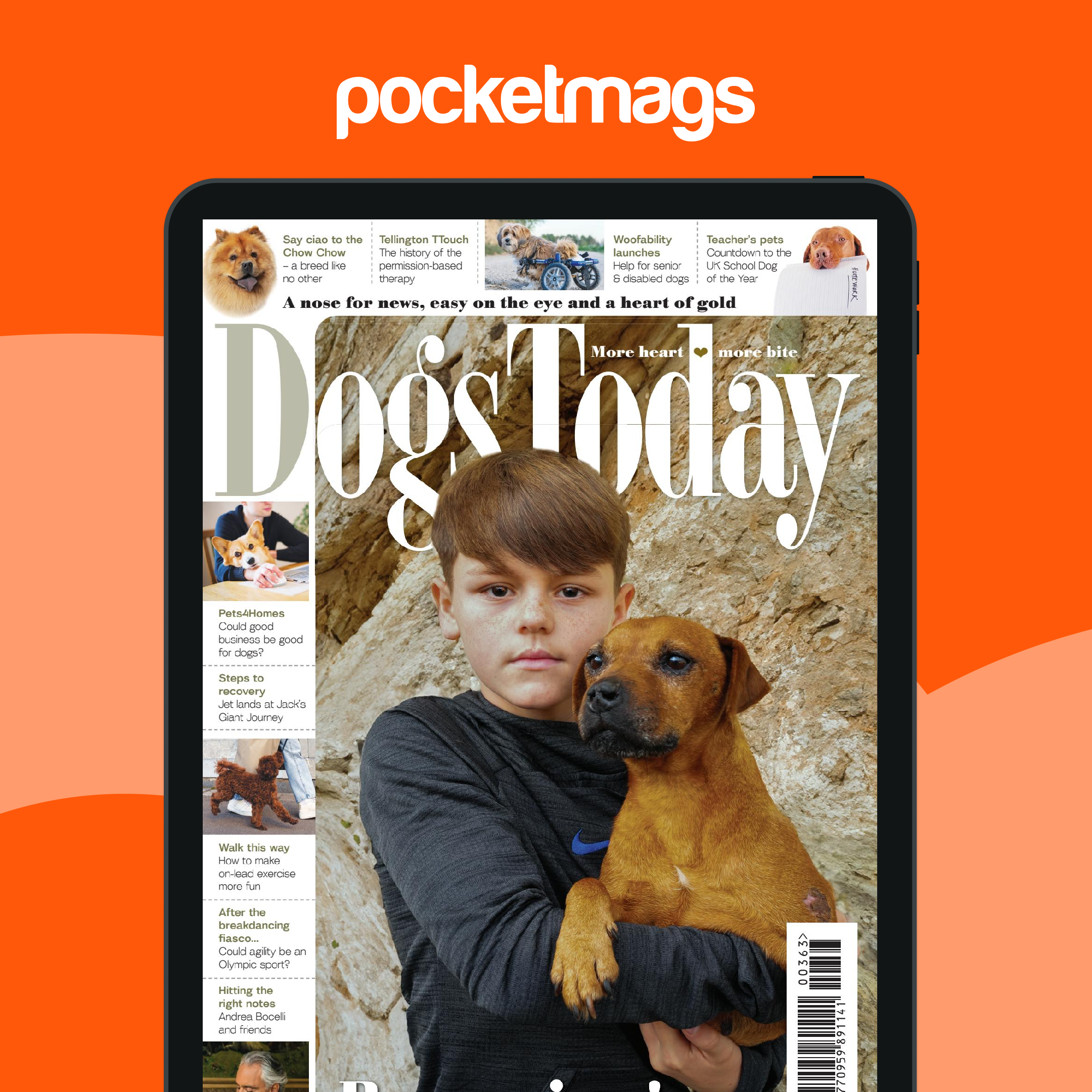 Dogs Today Magazine - Issue 363 Back Issue
