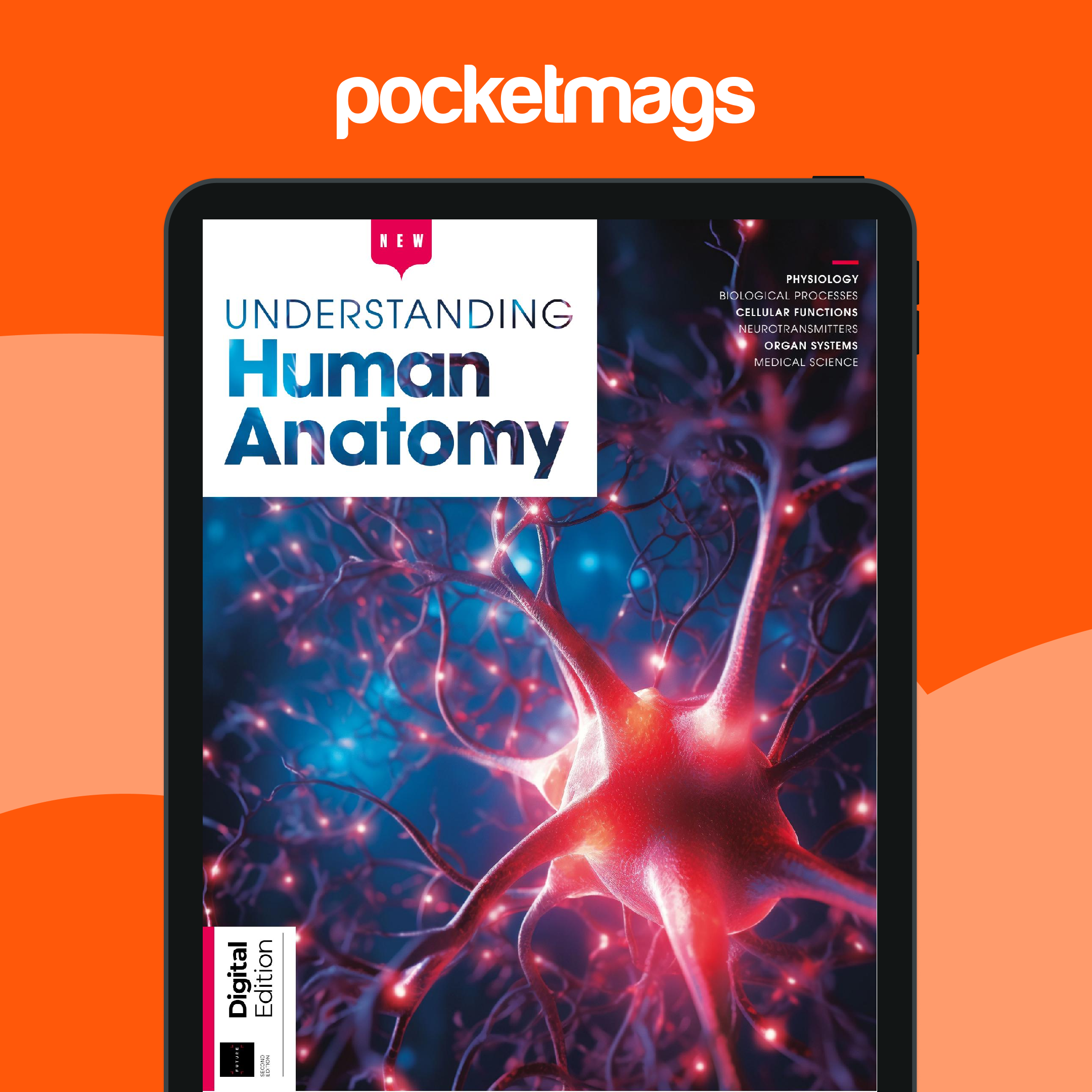 How It Works Bookazine - Understanding Human Anatomy Second Edition ...