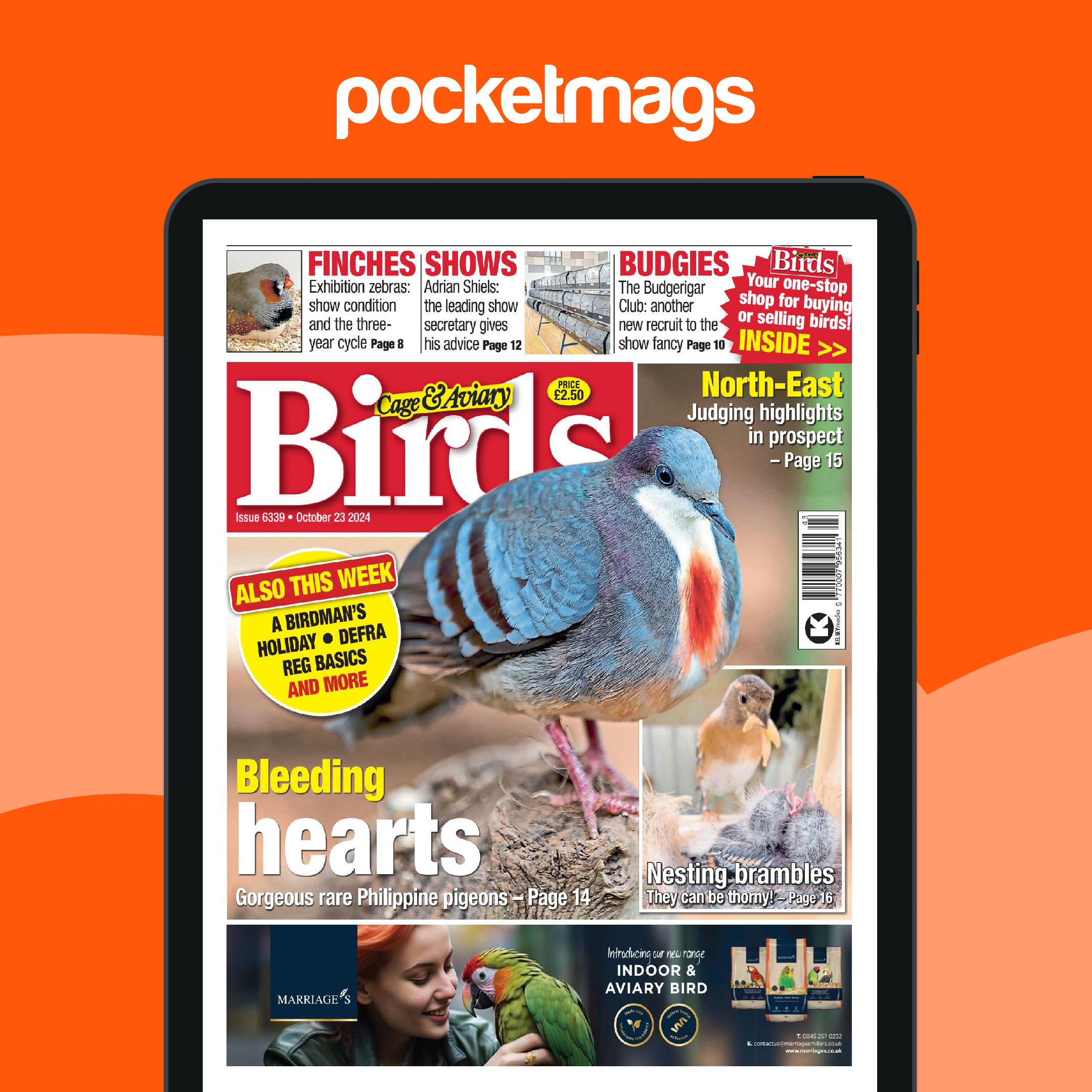 Cage & Aviary Birds Magazine - 23-Oct-24 Back Issue