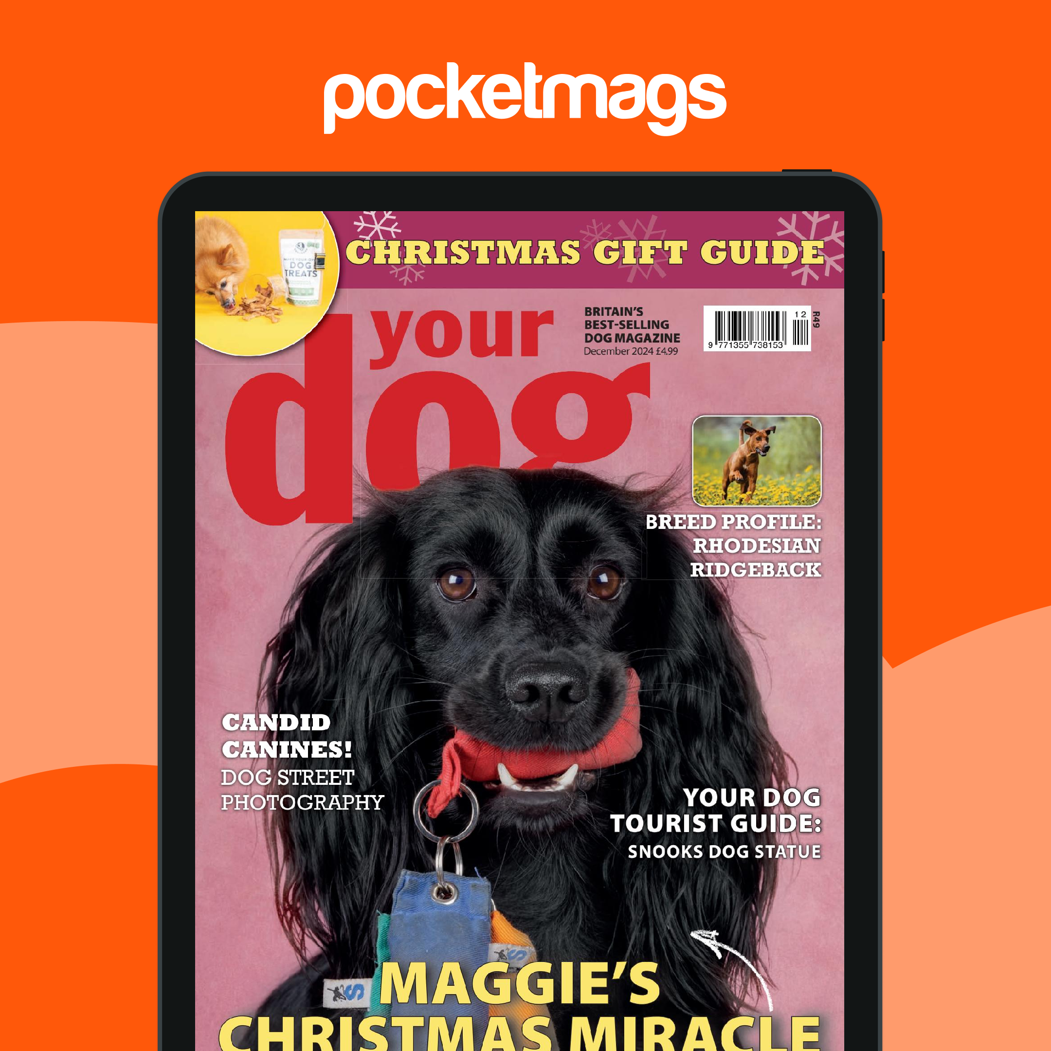 Your Dog Magazine - December 2024 Back Issue