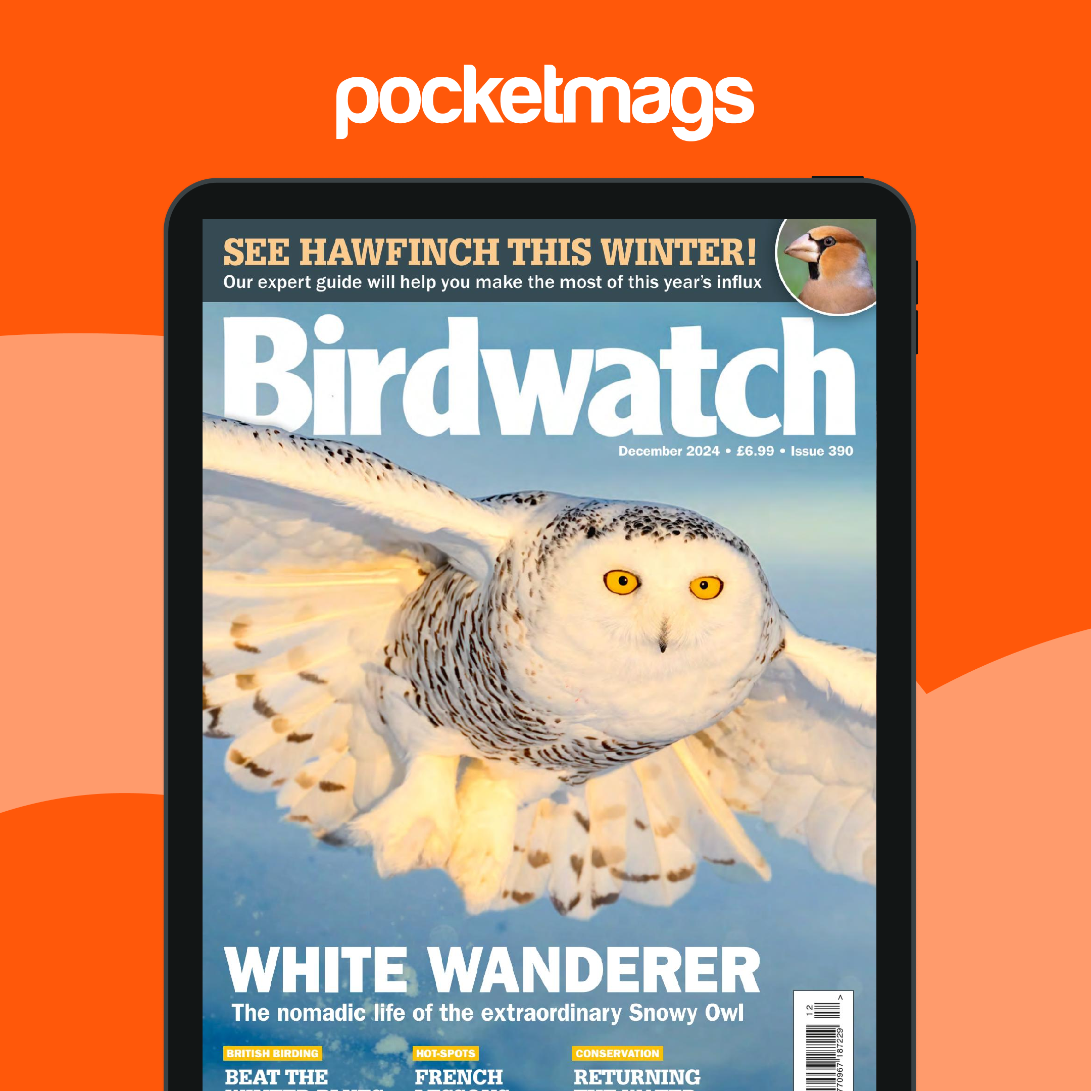Birdwatch Magazine - December 2024 Back Issue