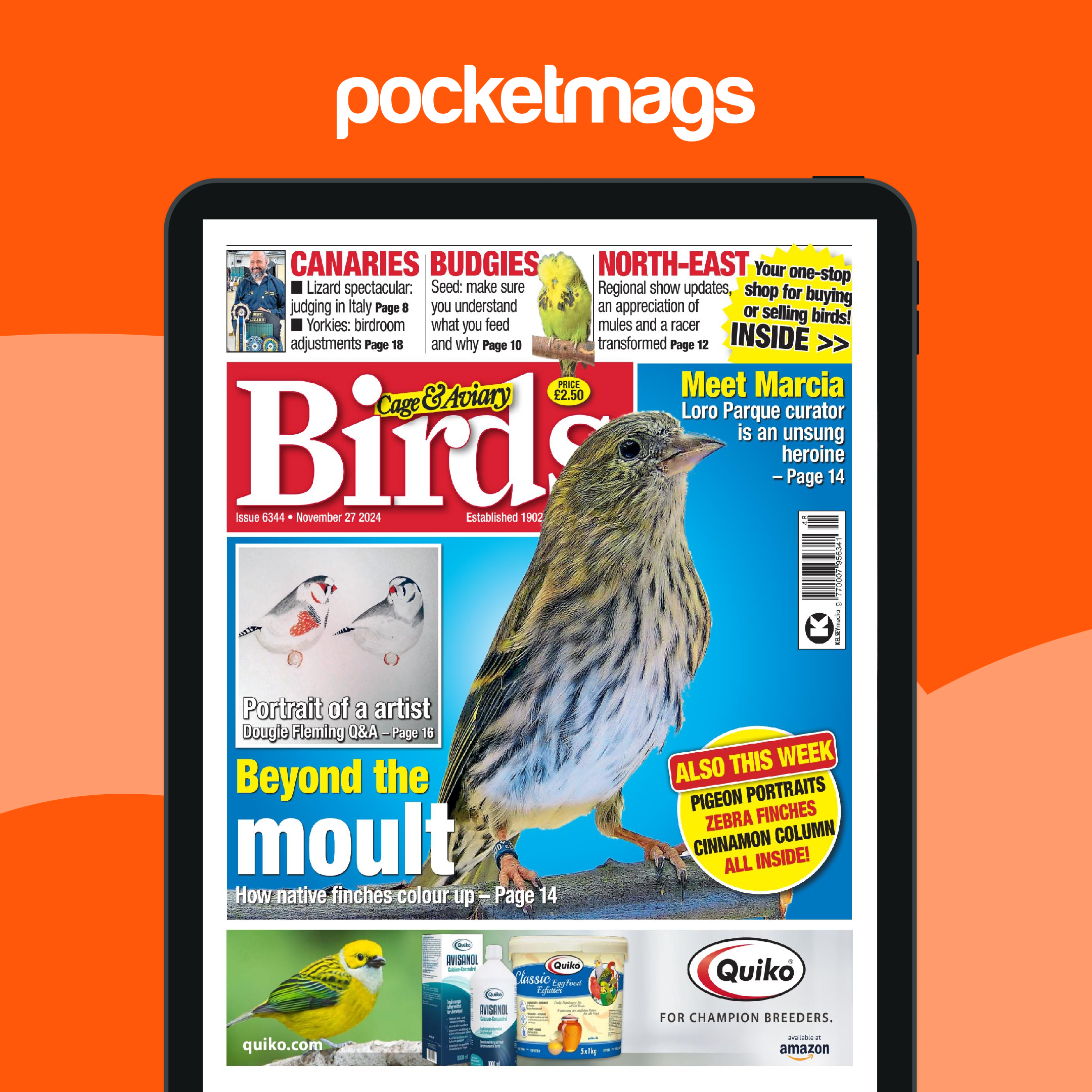 Cage & Aviary Birds Magazine - 27-Nov-24 Back Issue
