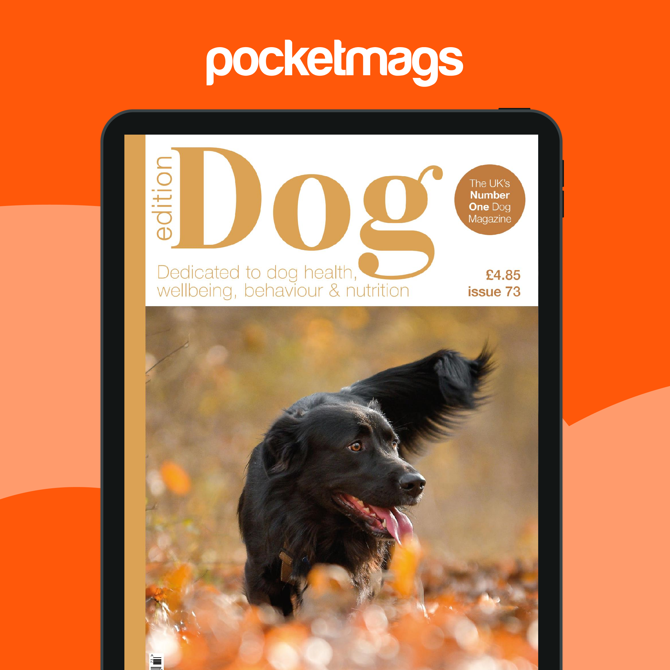 Edition Dog Magazine - Edition Dog 73 Back Issue
