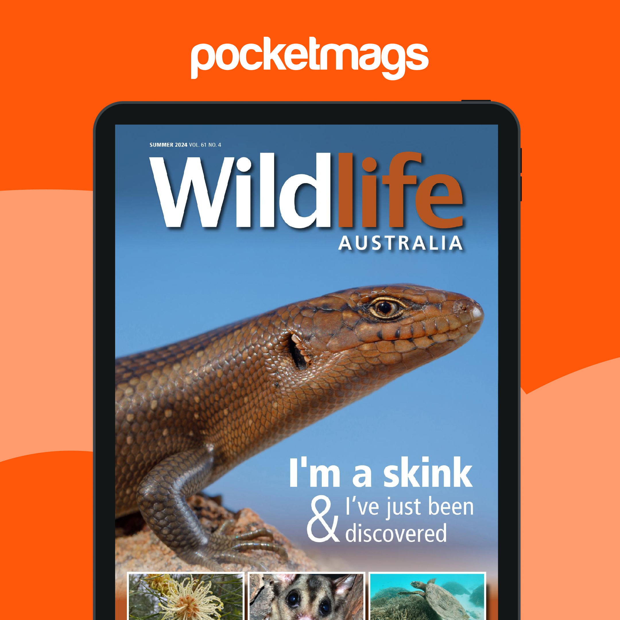 Wildlife Australia Magazine - Summer 2024 Back Issue