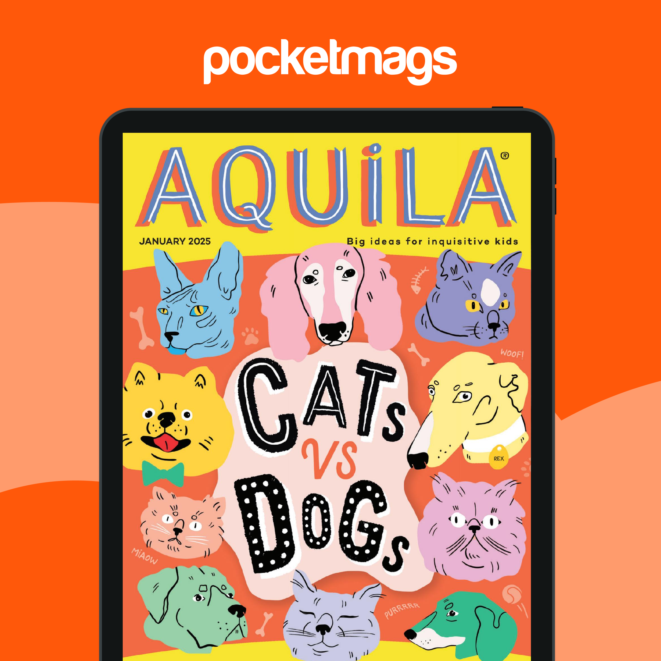 Aquila Magazine - Cats Vs Dogs Back Issue