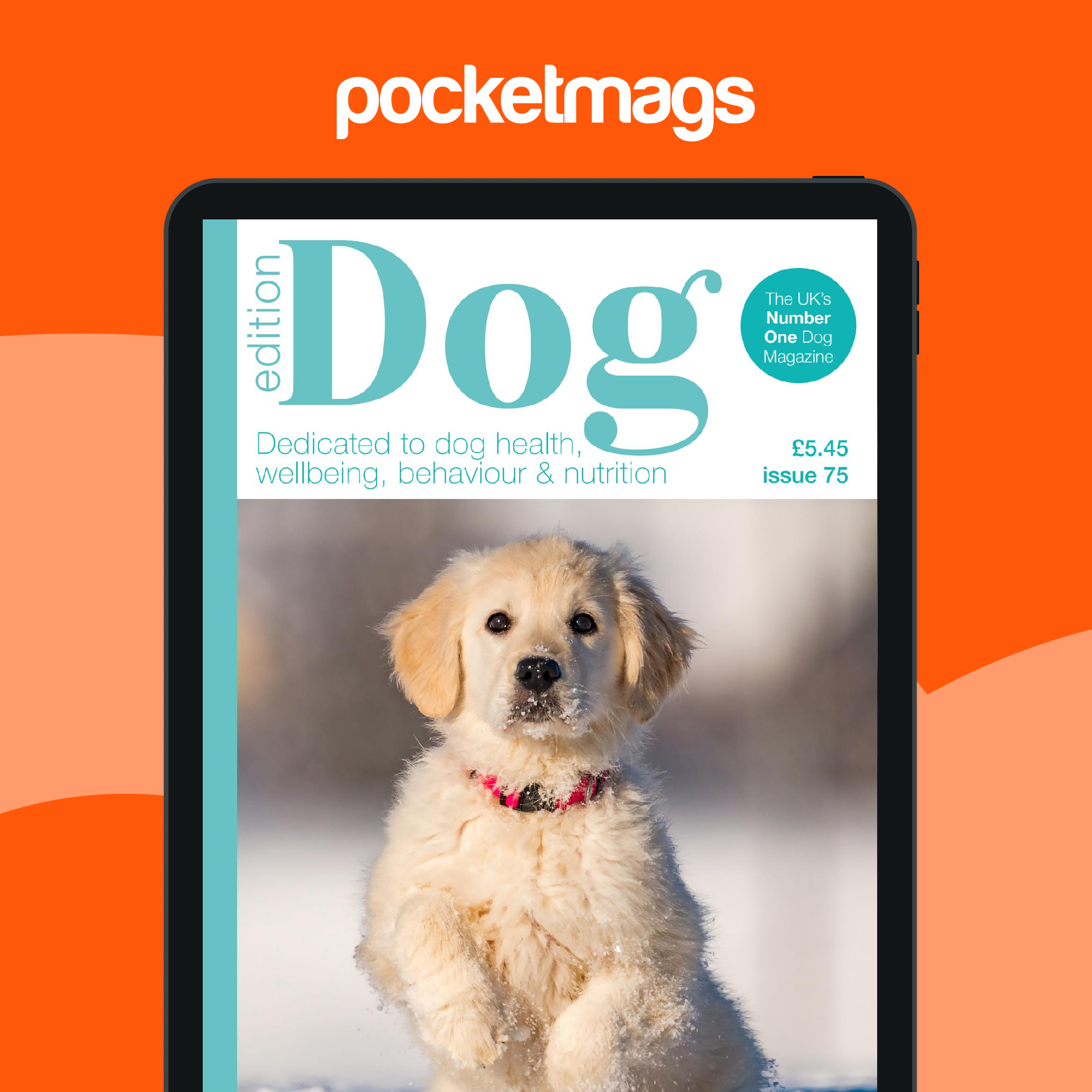 Edition Dog Magazine - Edition Dog 75 Back Issue