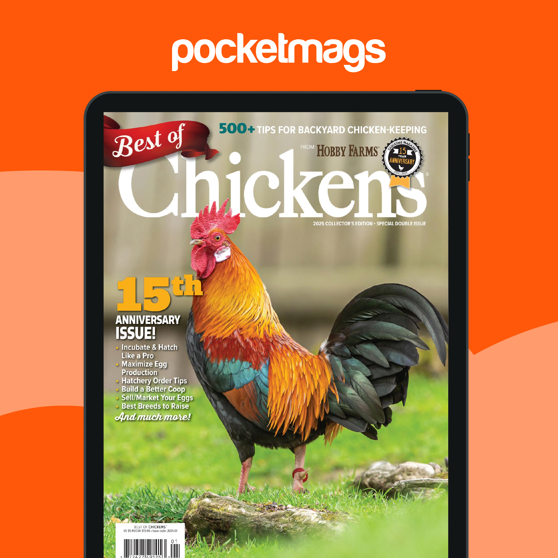 Chickens Magazine - 2025-01 (Best of Chickens) Edição especial