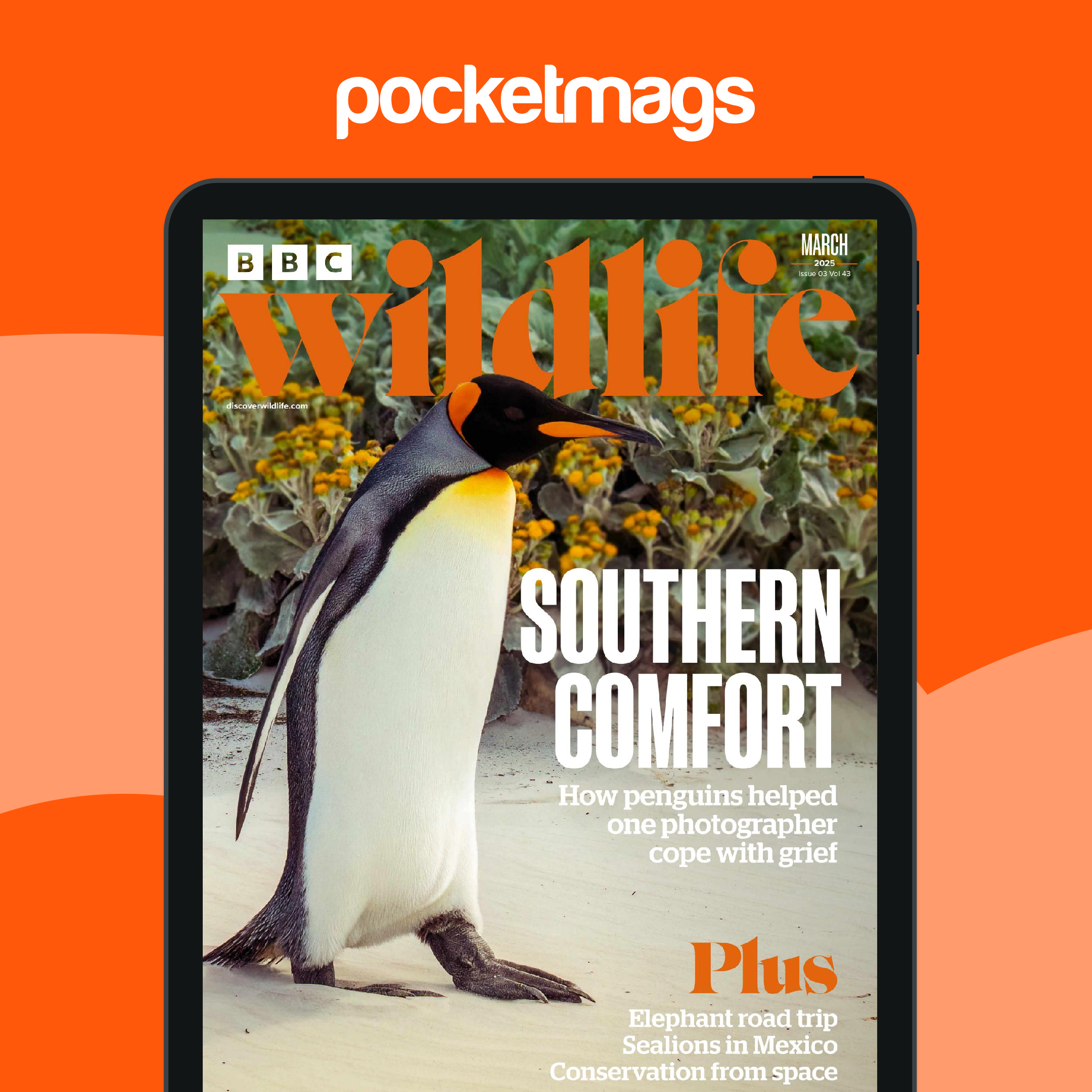 BBC Wildlife Magazine Subscriptions and March 2025 Issue