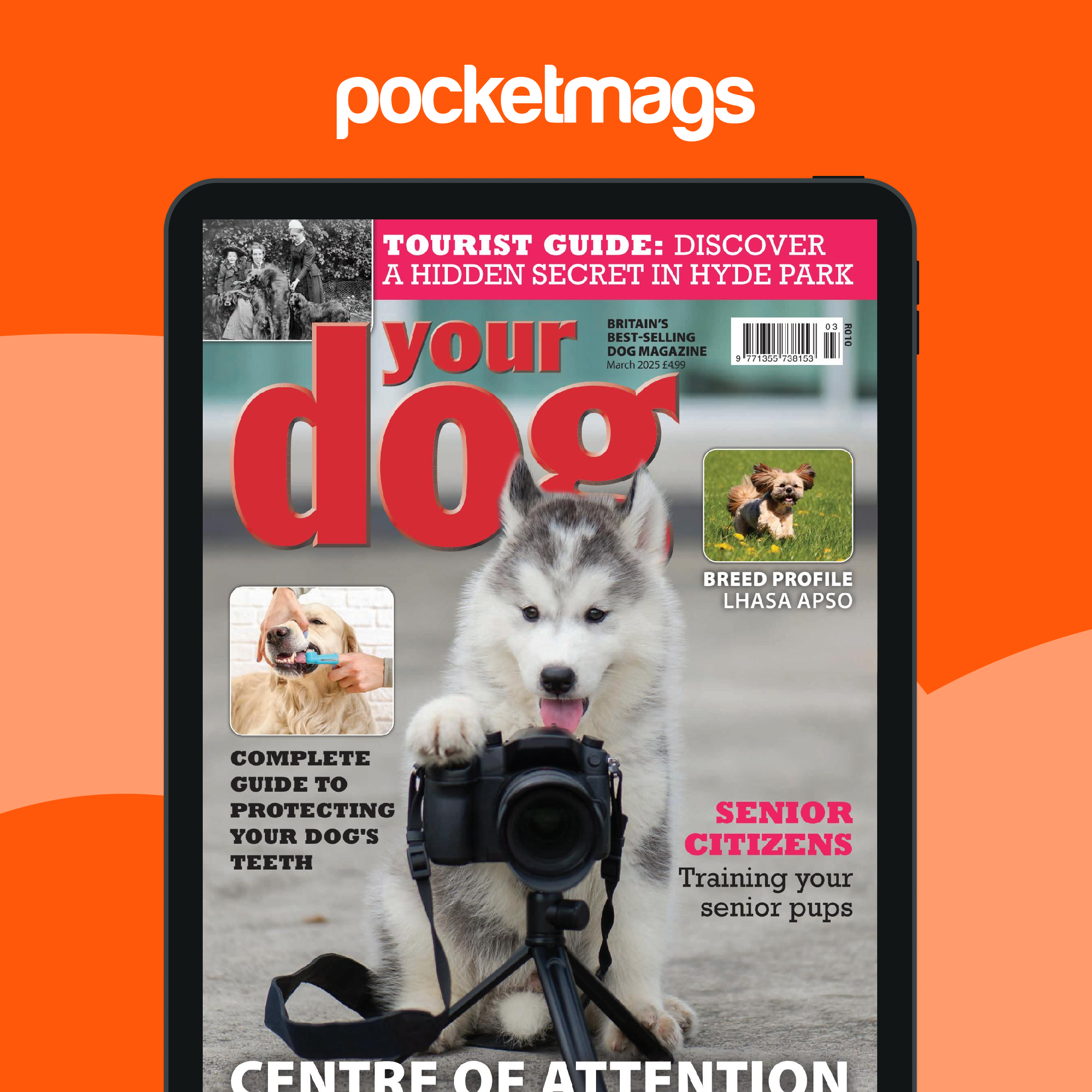 Your Dog Magazine - March 2025 Back Issue
