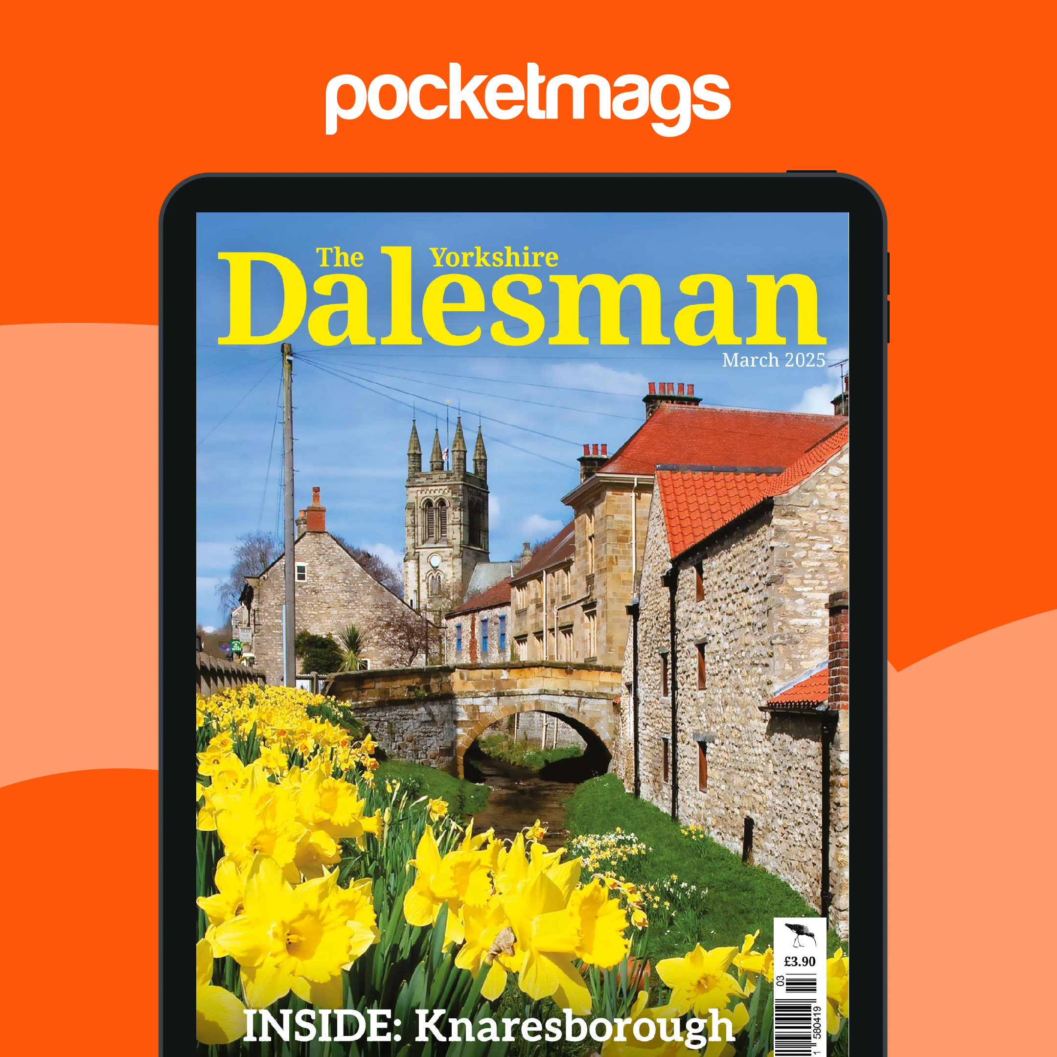 The Yorkshire Dalesman Magazine - March 2025 Back Issue