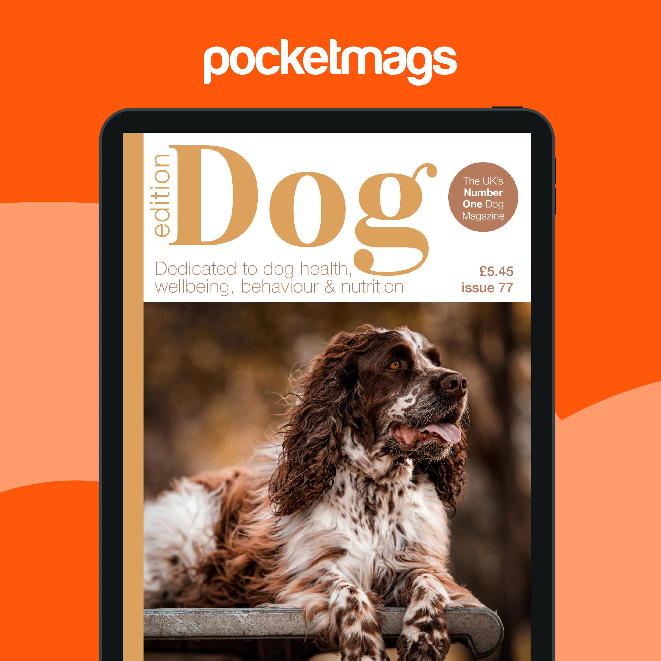 Edition Dog Magazine - Edition Dog 77 Back Issue