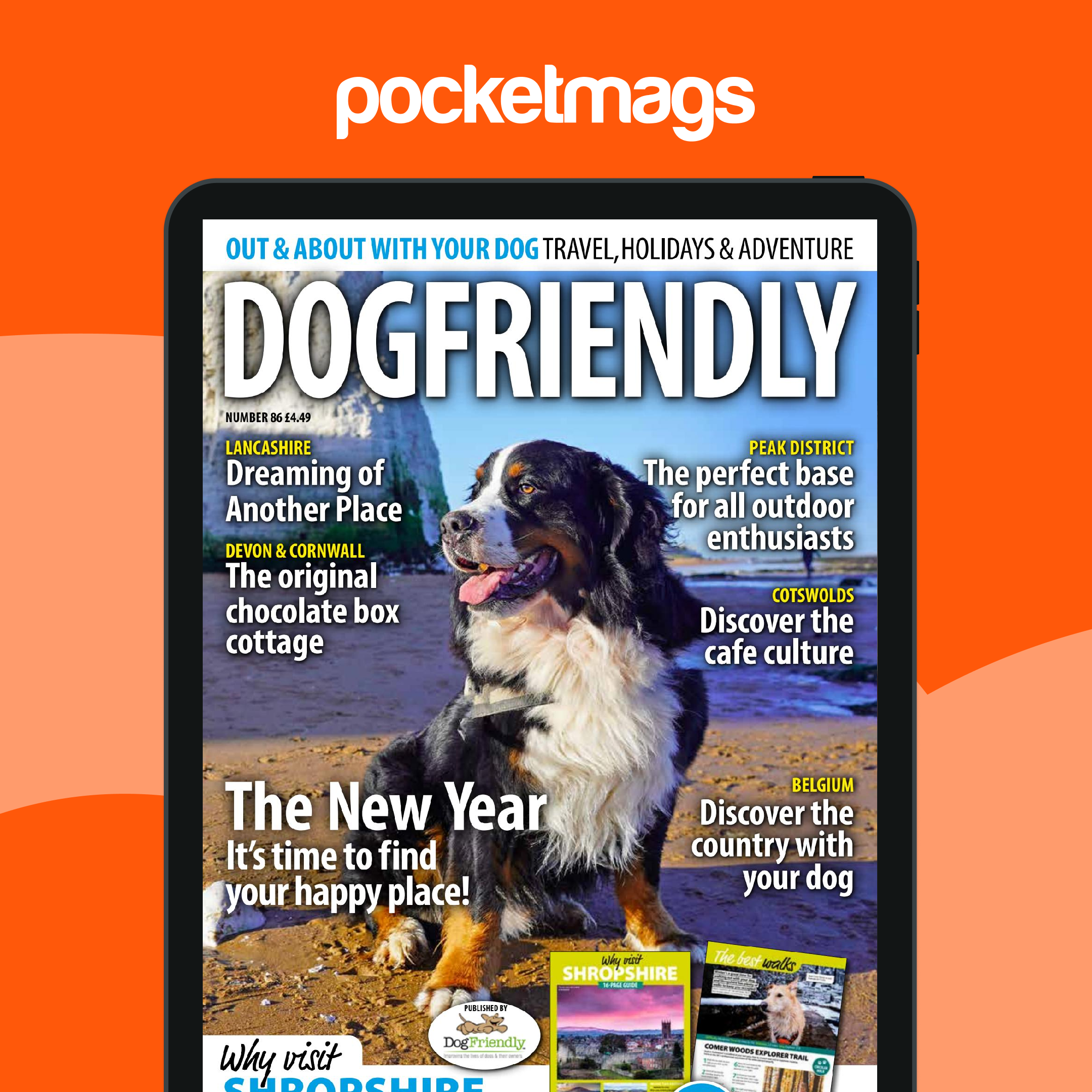 Dog Friendly Magazine - Jan-Feb 25 Back Issue