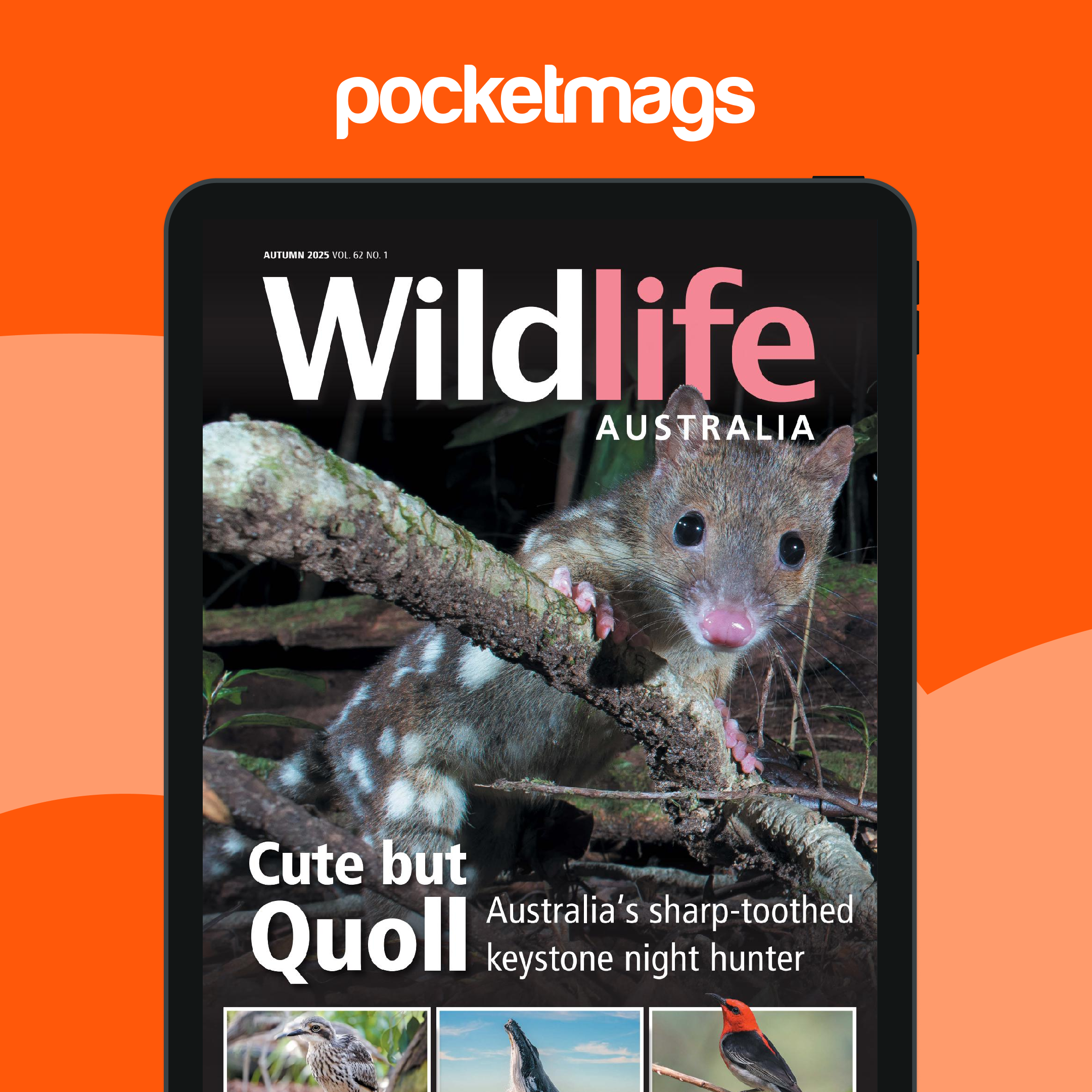 Wildlife Australia Magazine - Autumn 2025 Back Issue