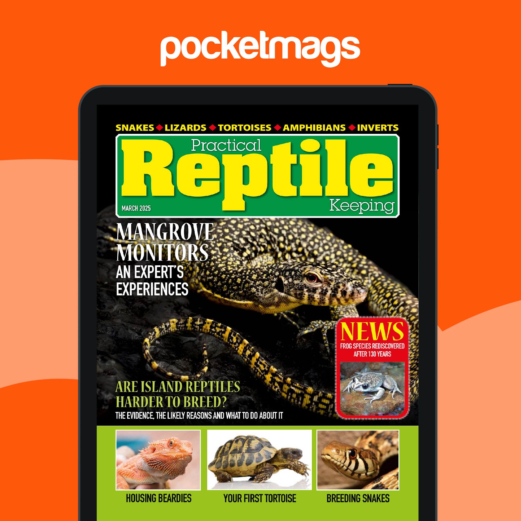 Practical Reptile Keeping Magazine - March 2025 Edición anterior