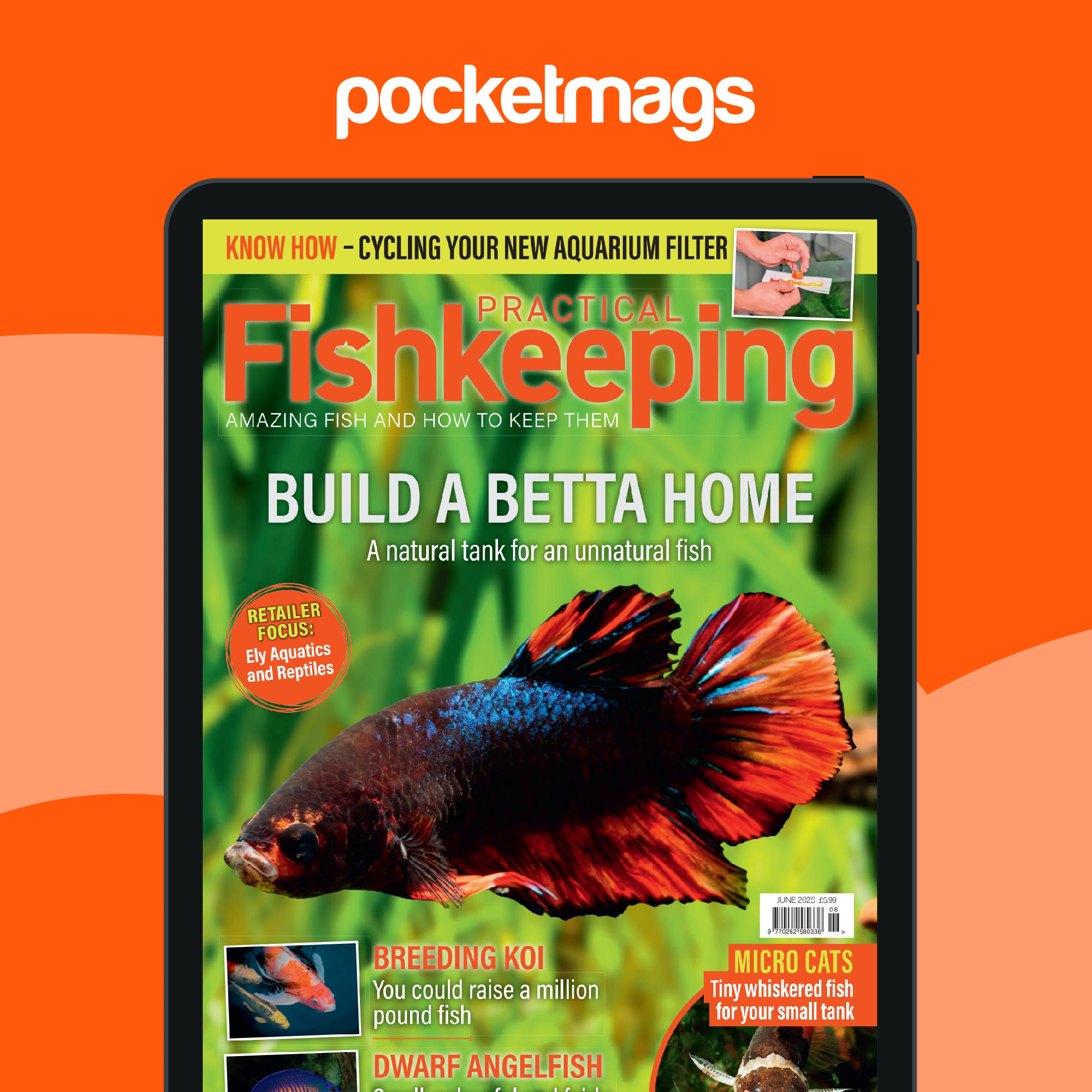 Practical Fishkeeping Magazine - June 2025 Edição anterior