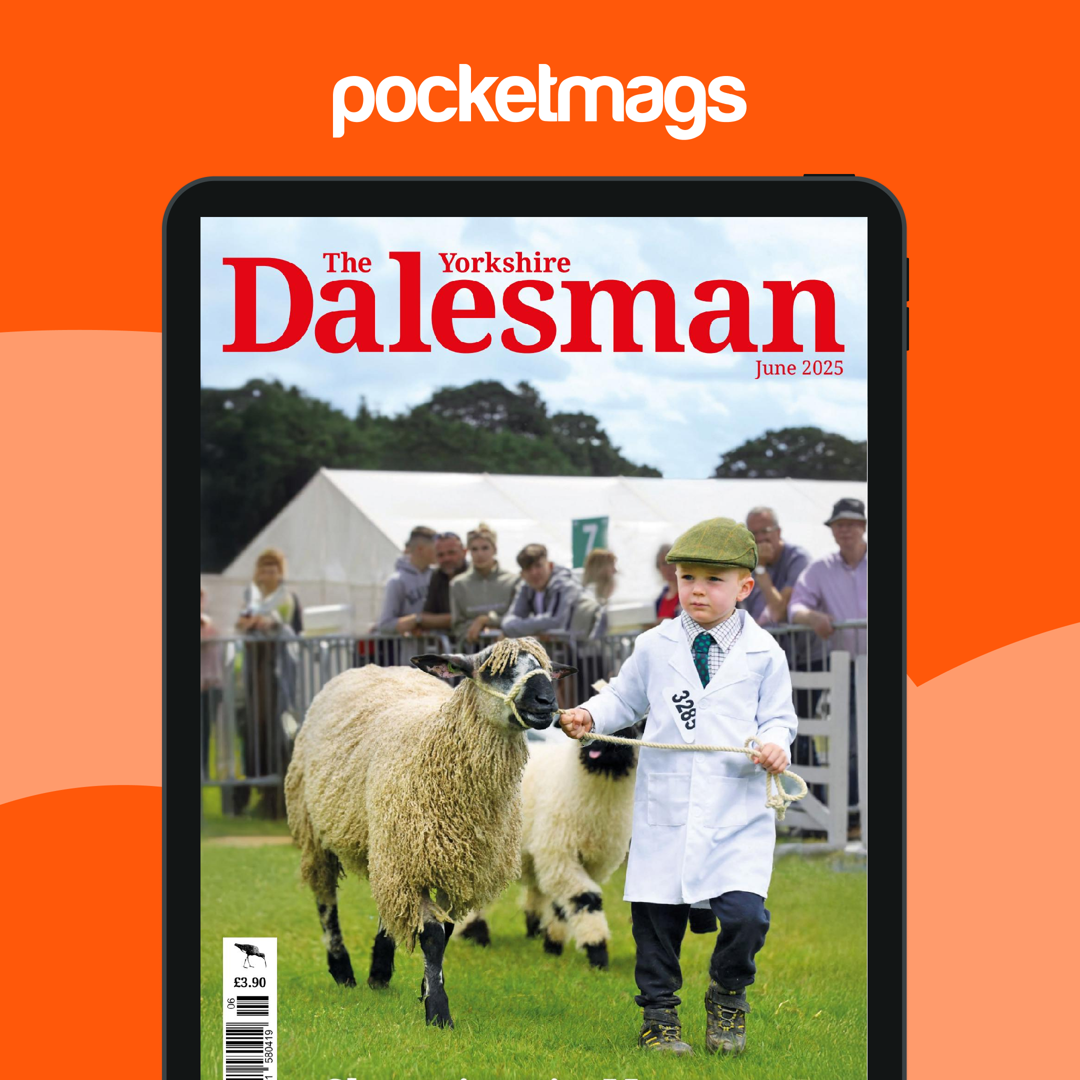 The Yorkshire Dalesman Magazine - June 2025 Back Issue