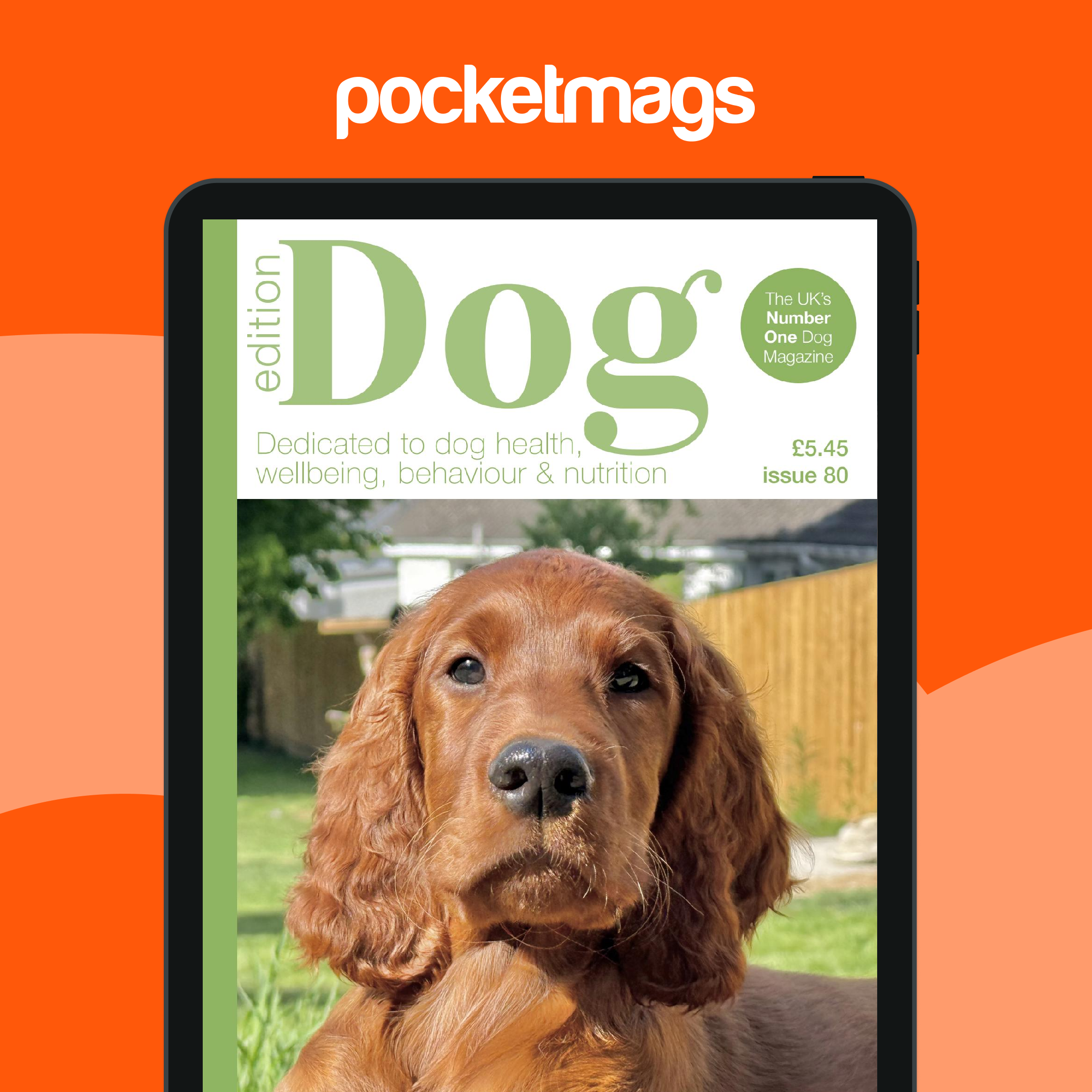 Edition Dog Magazine - Edition Dog 80 Back Issue