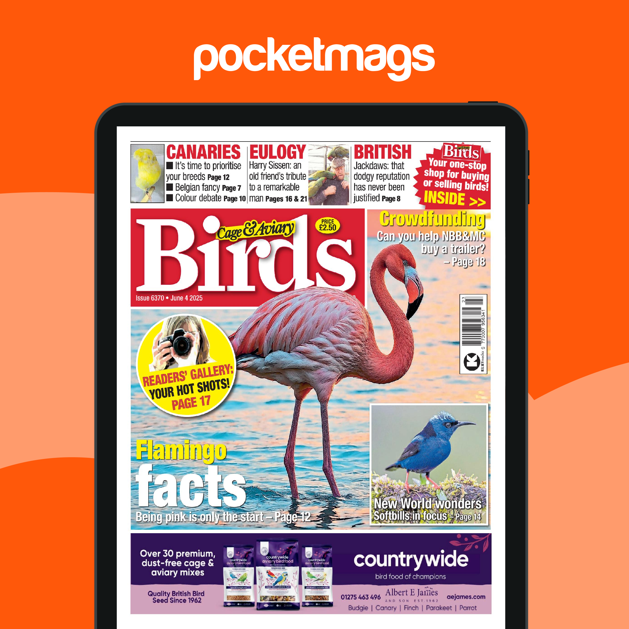 Cage & Aviary Birds Magazine - 4th June 2025 Back Issue