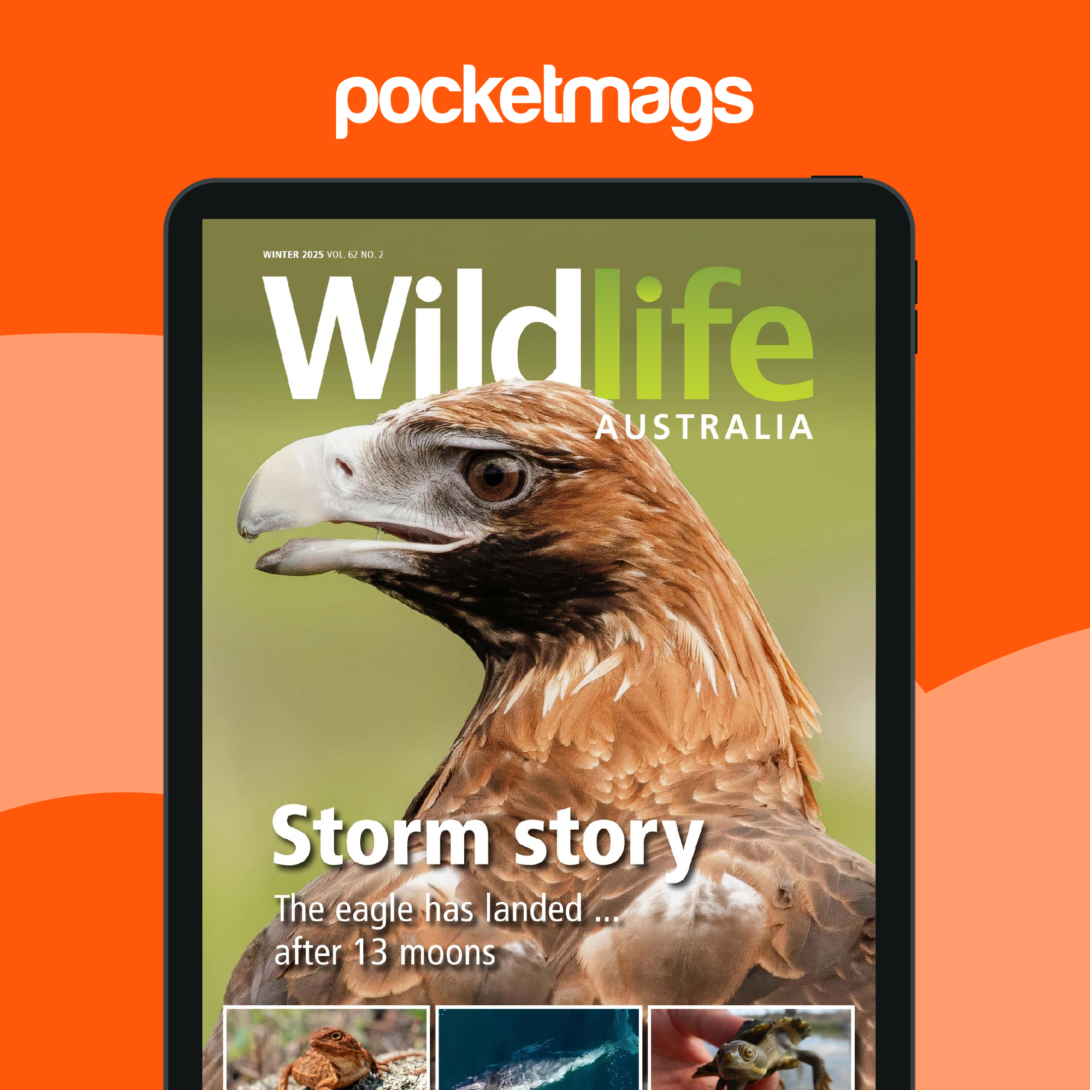 Wildlife Australia Magazine - Winter 2025 Back Issue