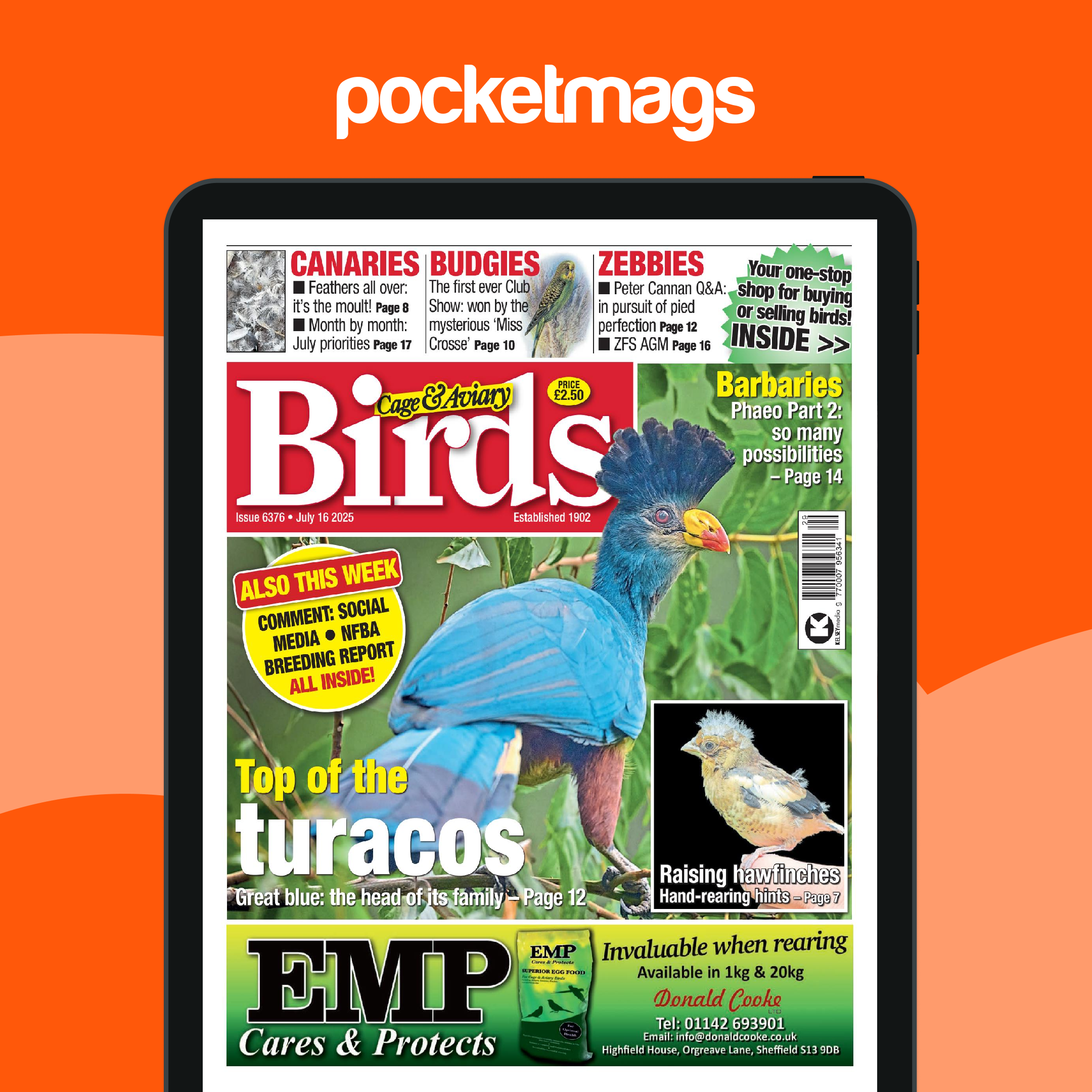 Cage & Aviary Birds Magazine - 16th July 2025 Back Issue
