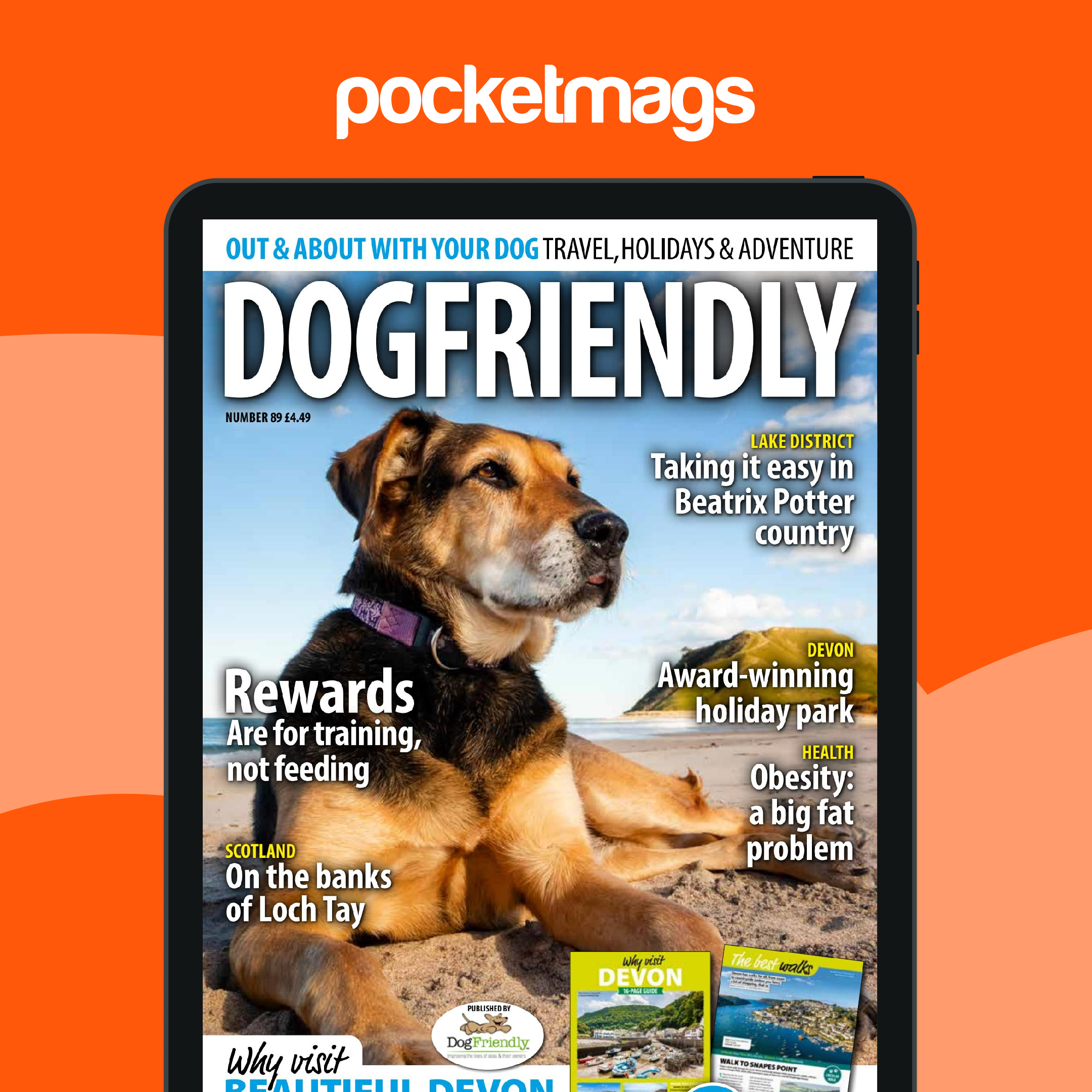 Dog Friendly Magazine - Jul-Aug 25 Back Issue