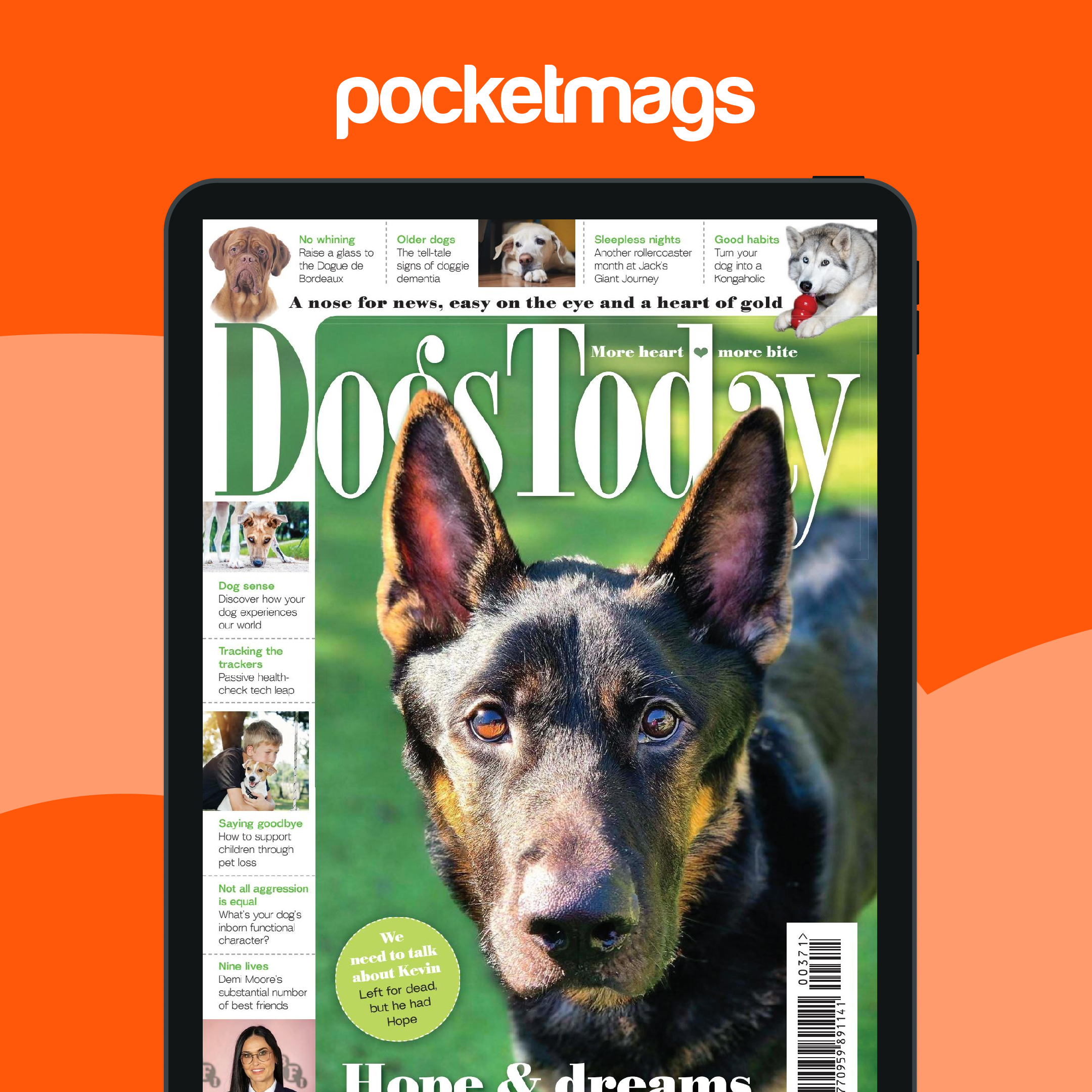 Dogs Today Magazine - Issue 371 Back Issue