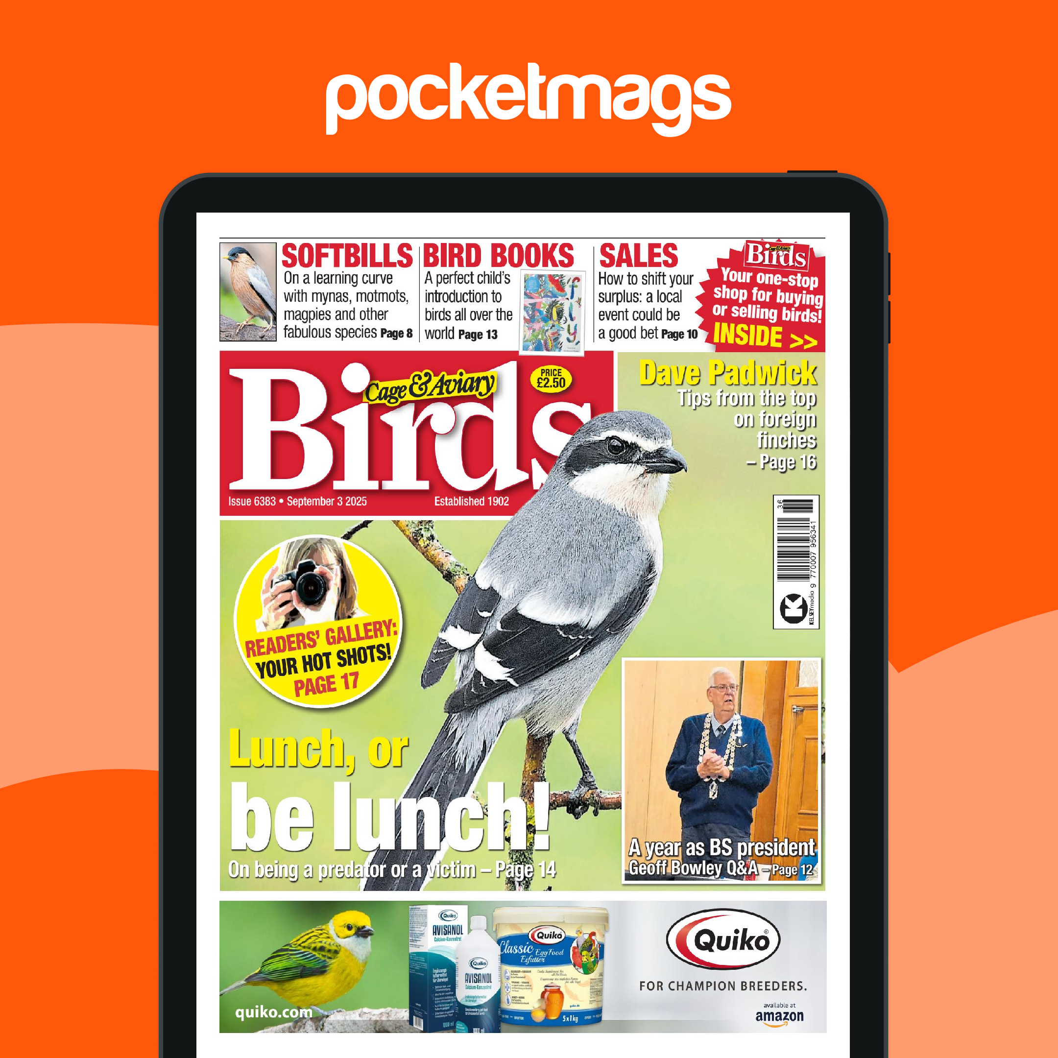 Cage & Aviary Birds Magazine - 3rd September 2025 Back Issue