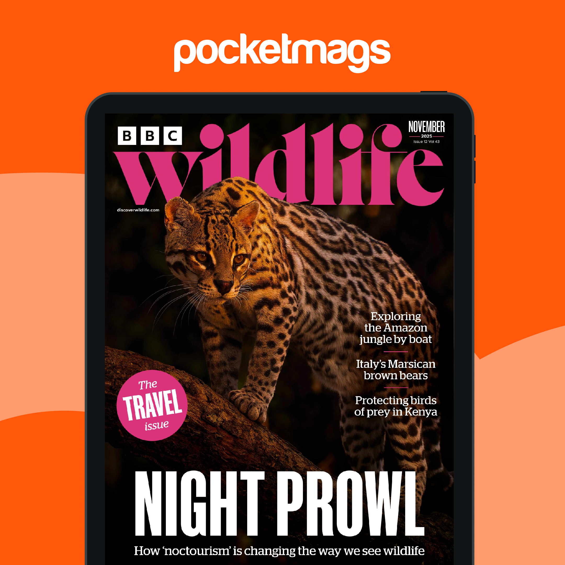 BBC Wildlife Magazine - November 2025 Edición anterior