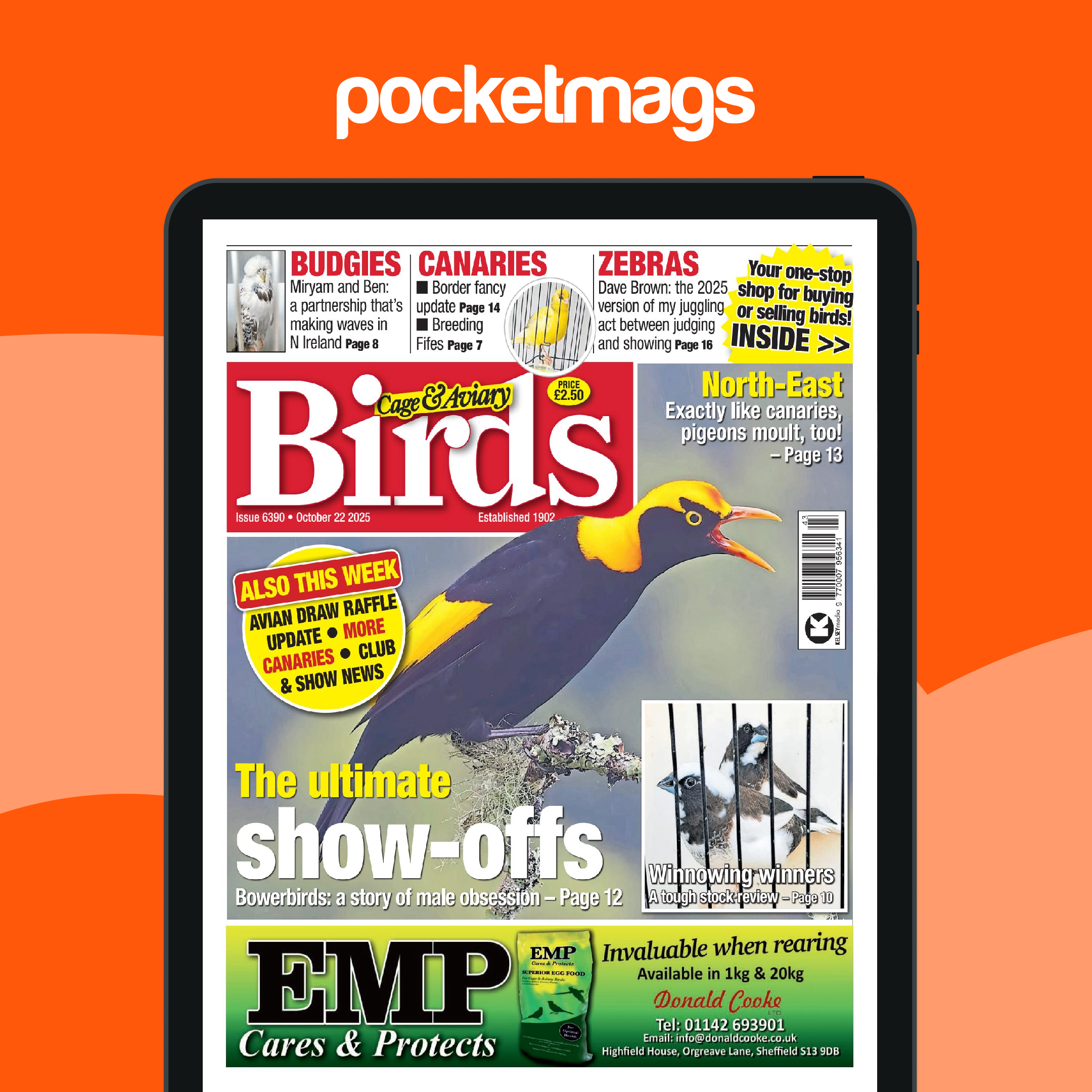 Cage & Aviary Birds Magazine - 22nd October 2025 Back Issue