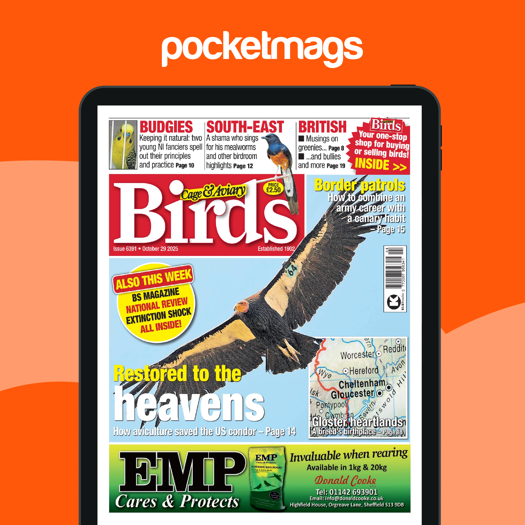 Cage & Aviary Birds Magazine - 29th October 2025 Edizione posteriore