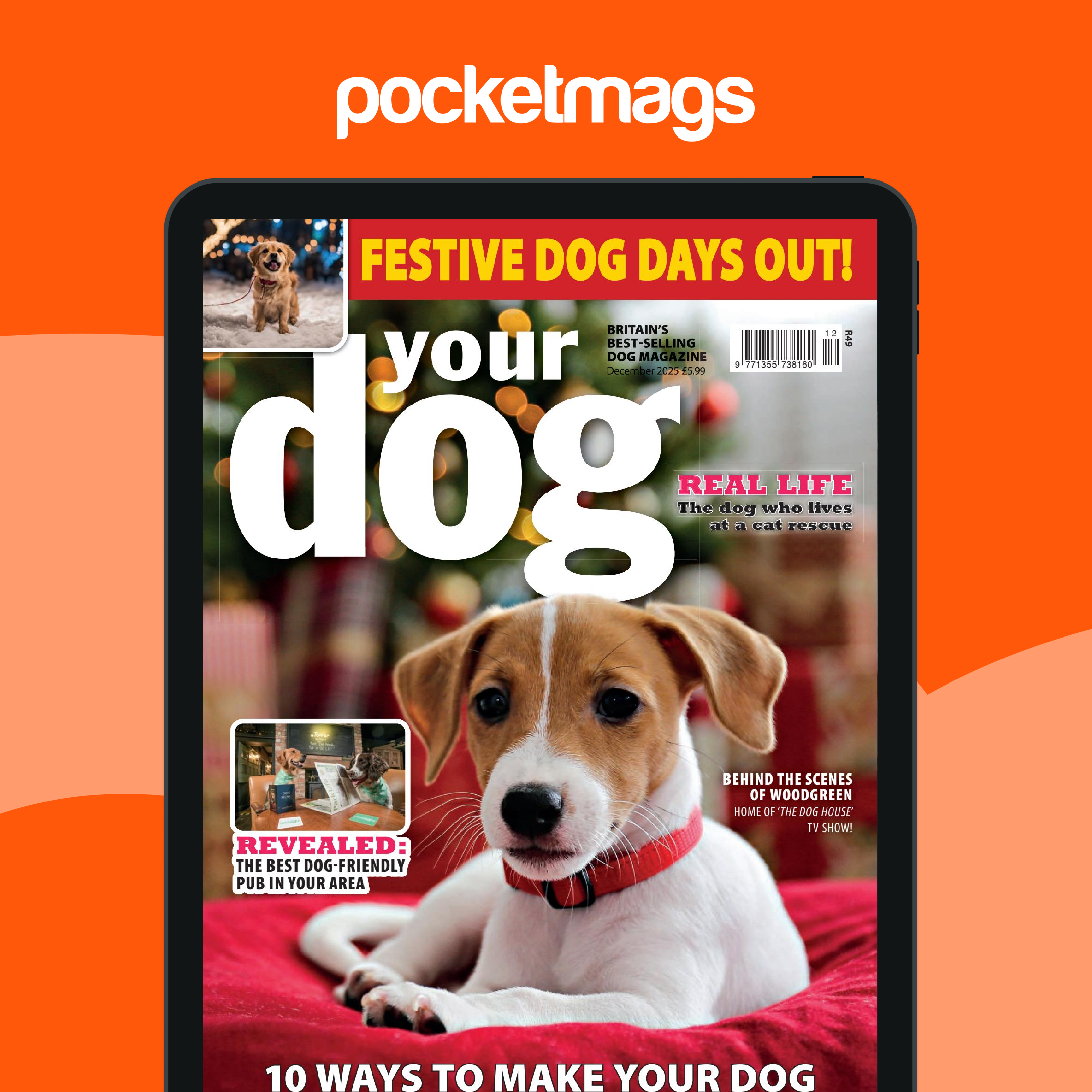 Your Dog Magazine - December 2025 Back Issue