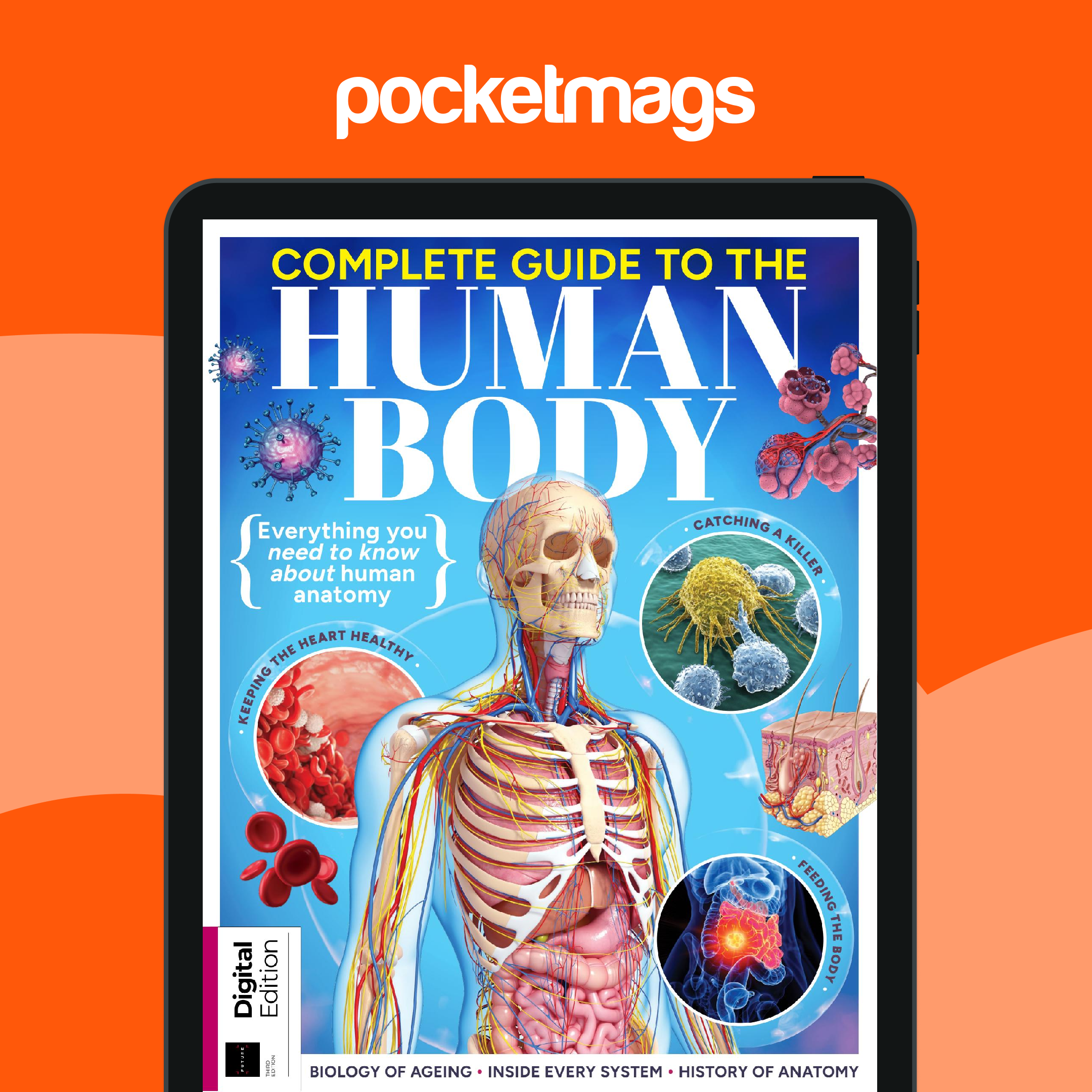 How It Works Bookazine - Complete Guide To The Human Body Th Back Issue