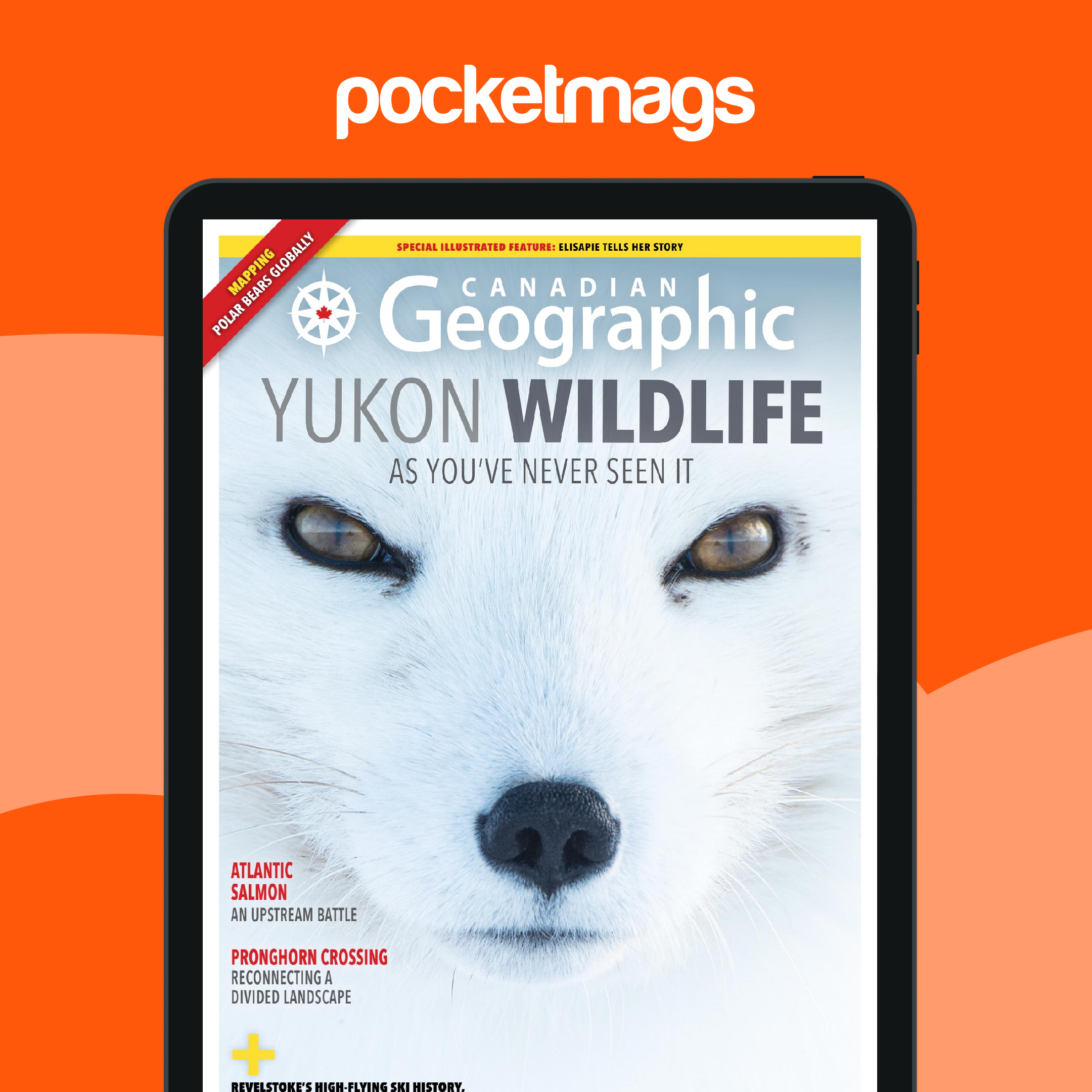 Canadian Geographic Magazine - Jan/Feb 2026 Back Issue