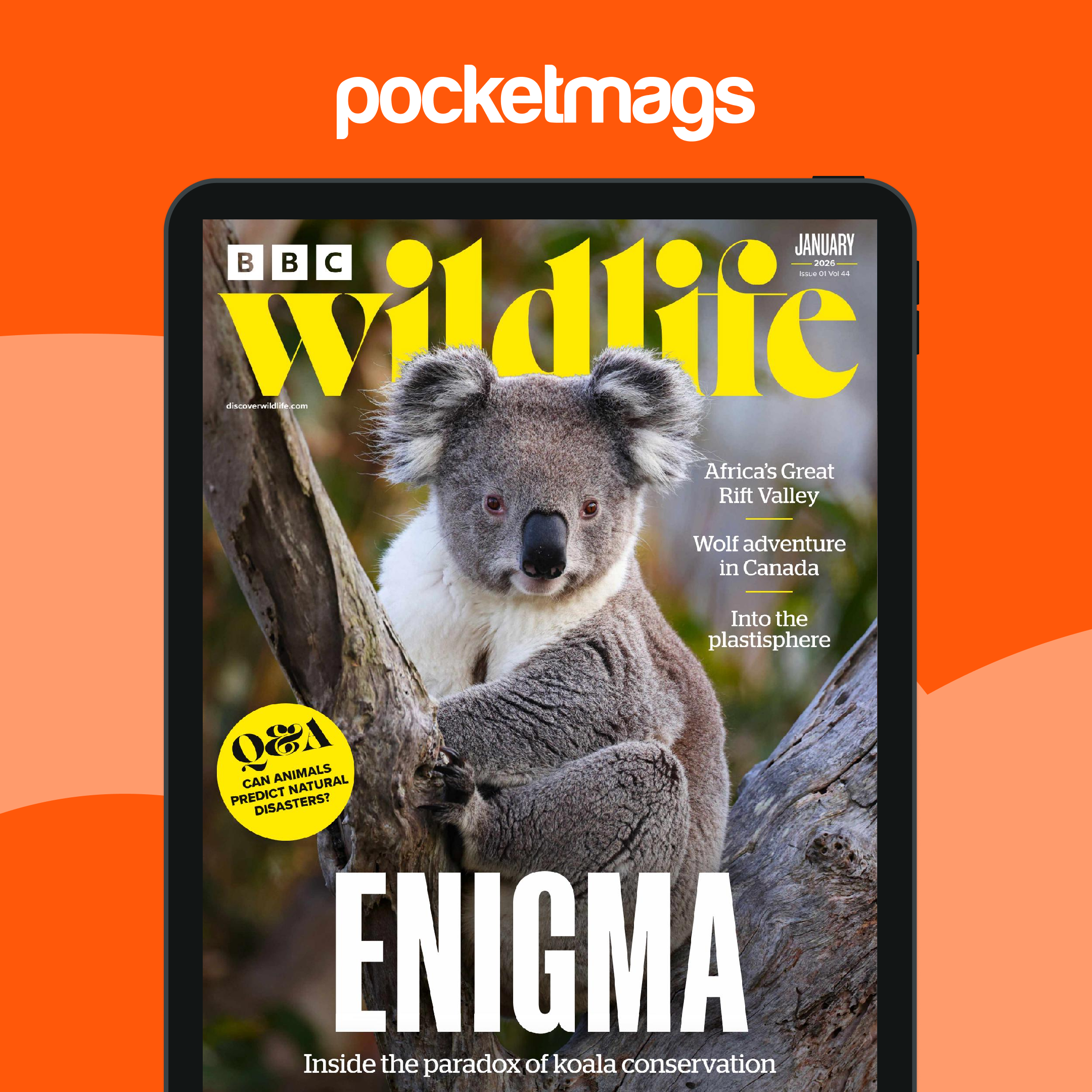 BBC Wildlife Magazine Subscriptions and January 2026 Issue