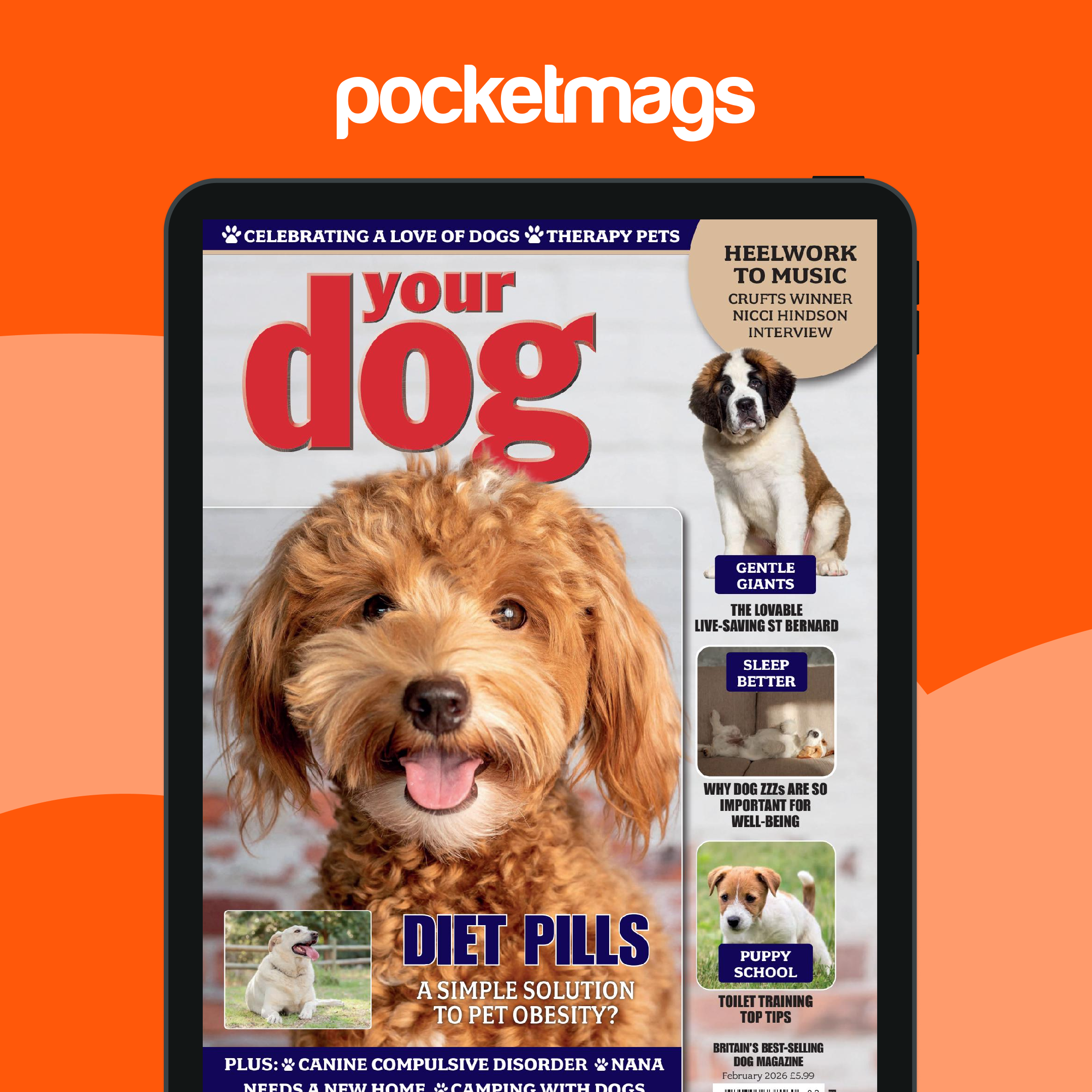 Your Dog Magazine - Your Dog - February 2026 Vorige editie