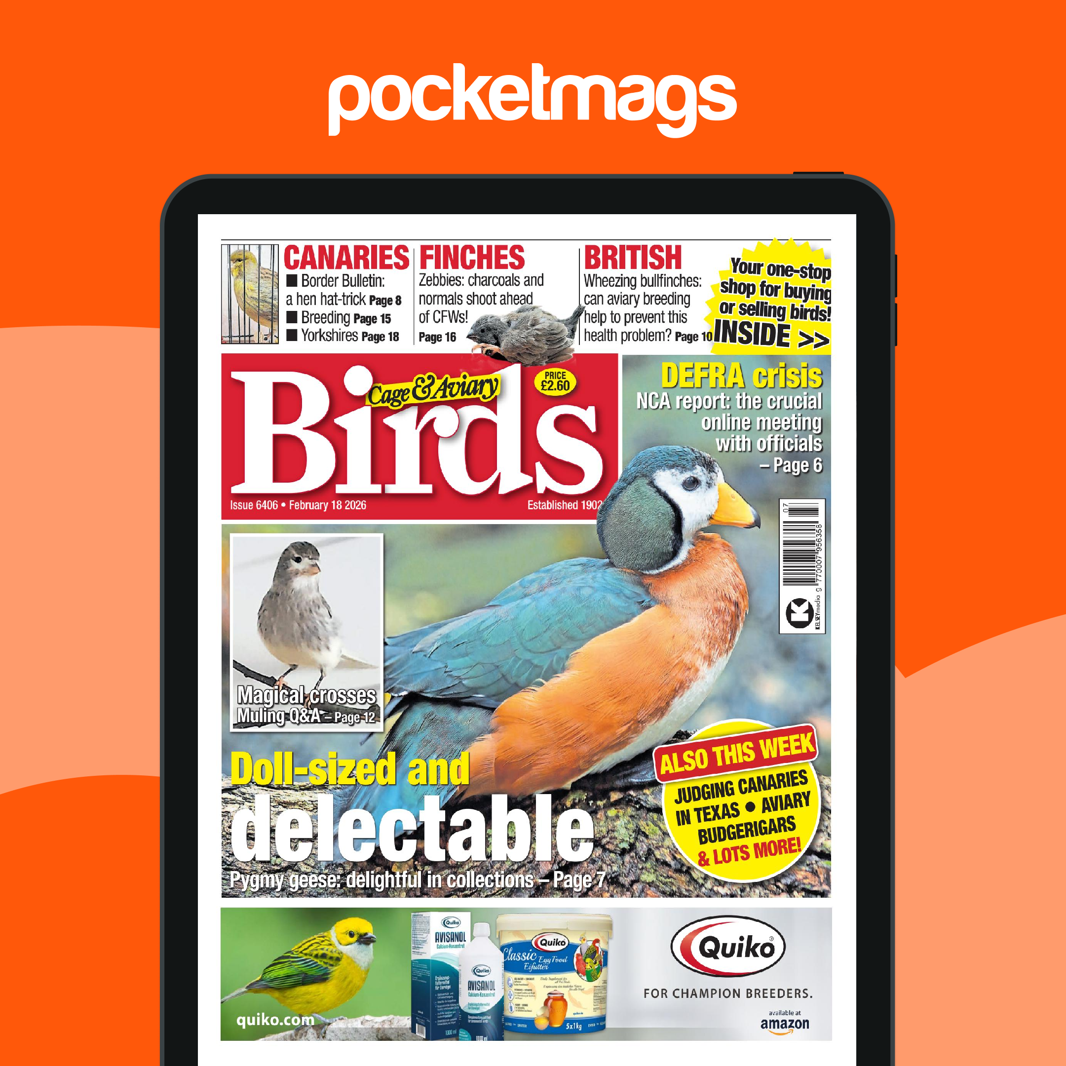 Cage & Aviary Birds Magazine - 18th February 2026 Back Issue